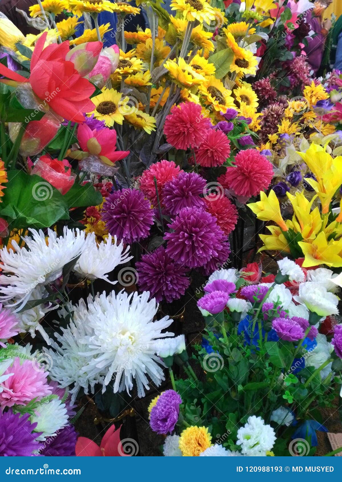 Real Flowers 2 stock image. Image of real, flower, beauty - 120988193