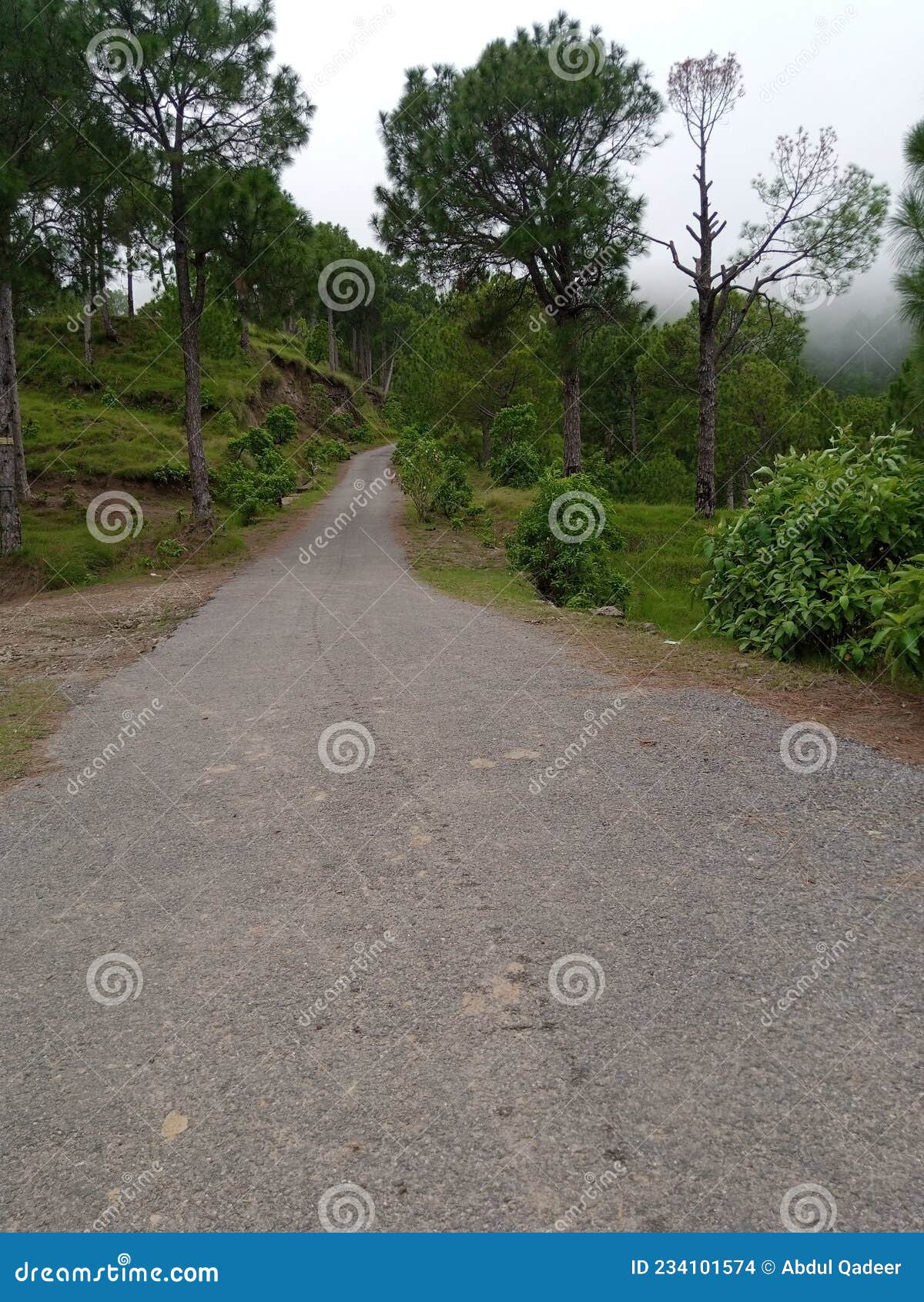 Nature Beauty Greenry Smook Raining Stock Photo - Image of raining ...
