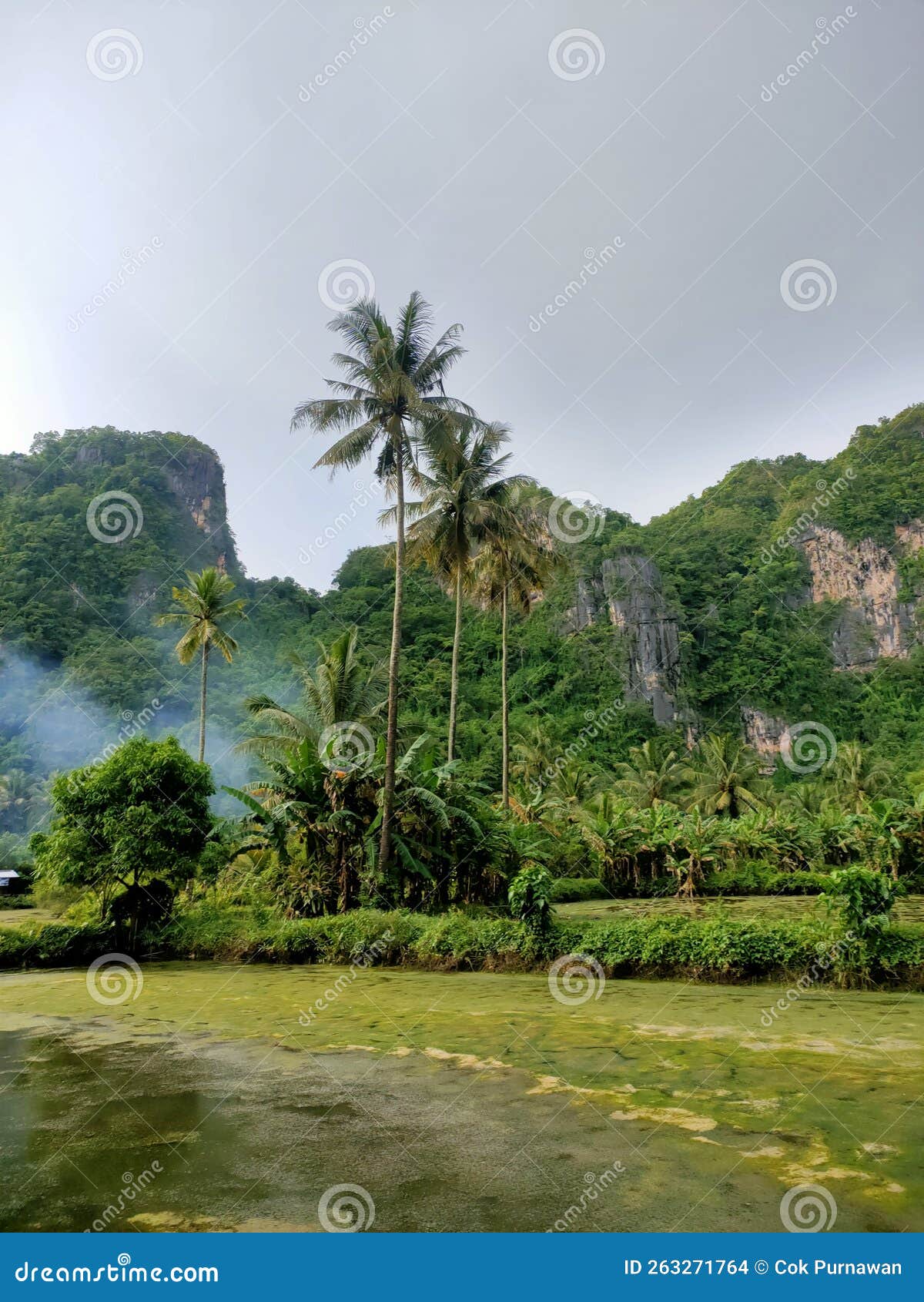 The Beauty Of Ramang-Ramang Village And Kars In Maros, South Sulawesi ...