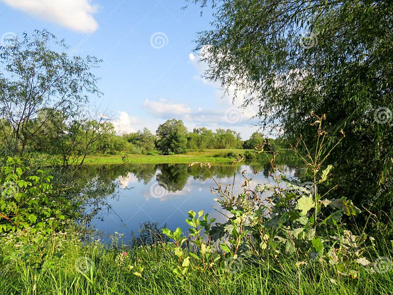 Nature of Belarus. Sozh River Stock Photo - Image of coast, tree: 296541068