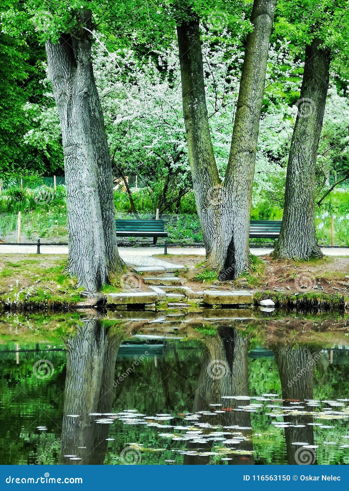 Nature in Berlin stock photo. Image of nature, stairs - 116563150