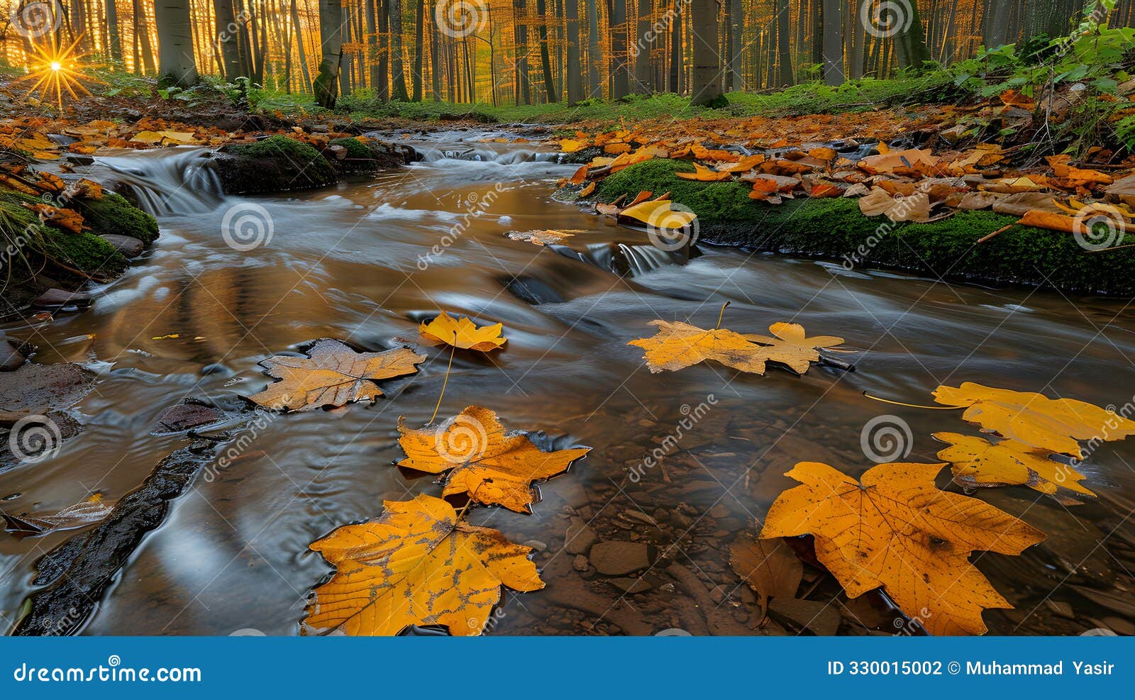 Nature is the Best Picture. Image is a Natural Form Stock Photo - Image ...