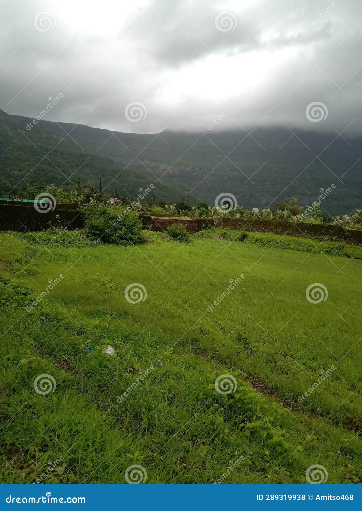 Nature Beutiful and Original Swlf Creation Stock Photo - Image of ...