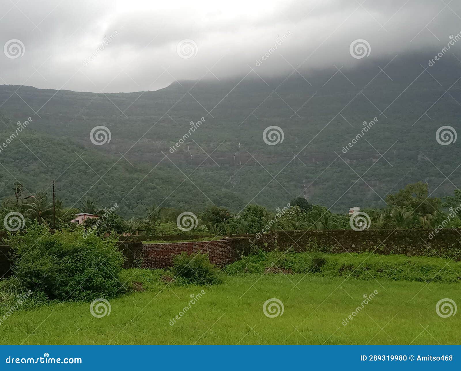 Nature Beutiful and Original Swlf Creation Stock Photo - Image of imege ...