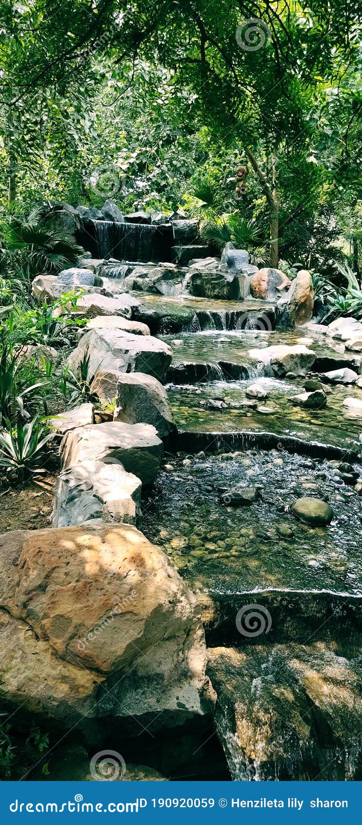 Nature bliss stock image. Image of nature, green, bliss - 190920059