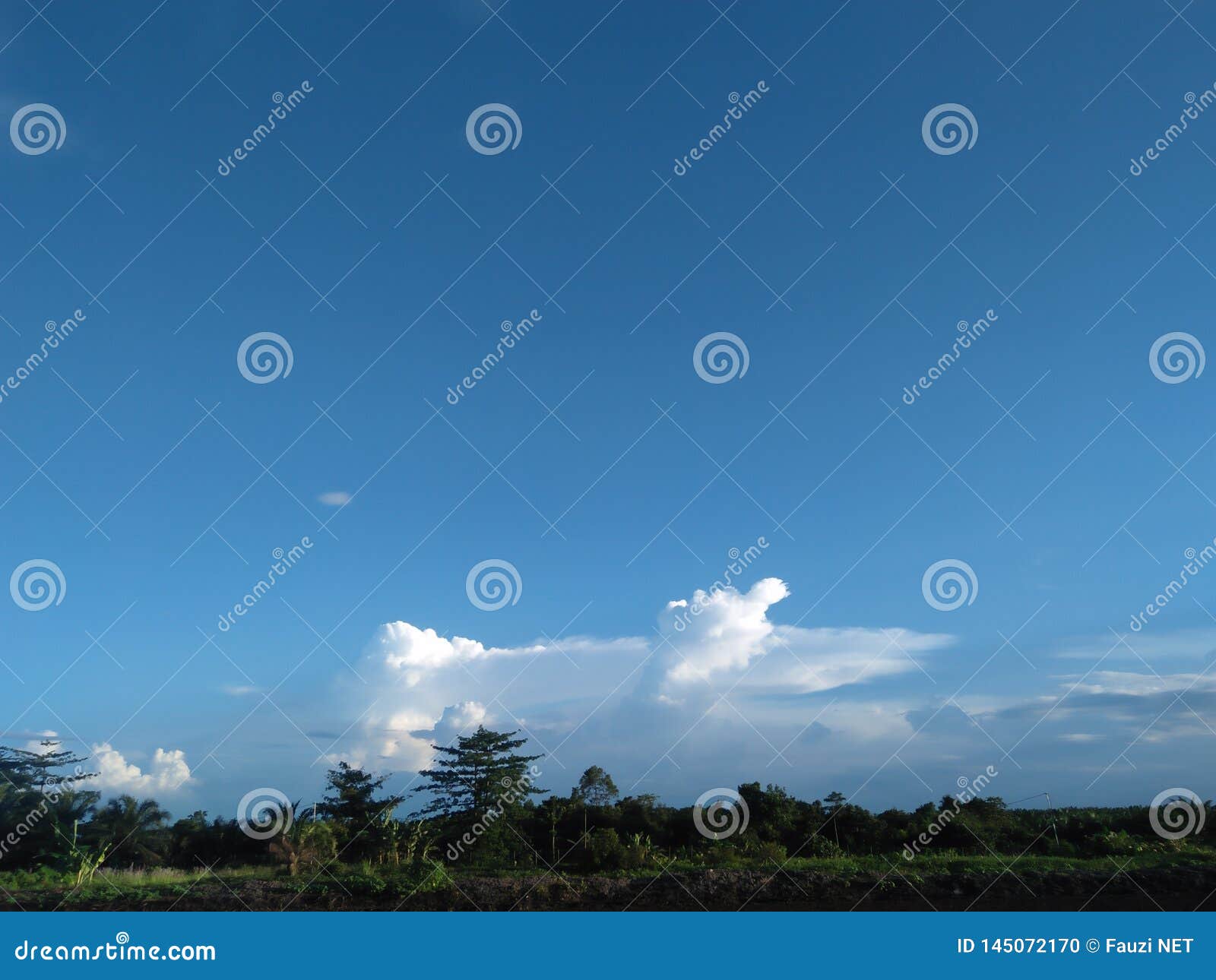 Nature blue and sky stock photo. Image of cloud, blue - 145072170