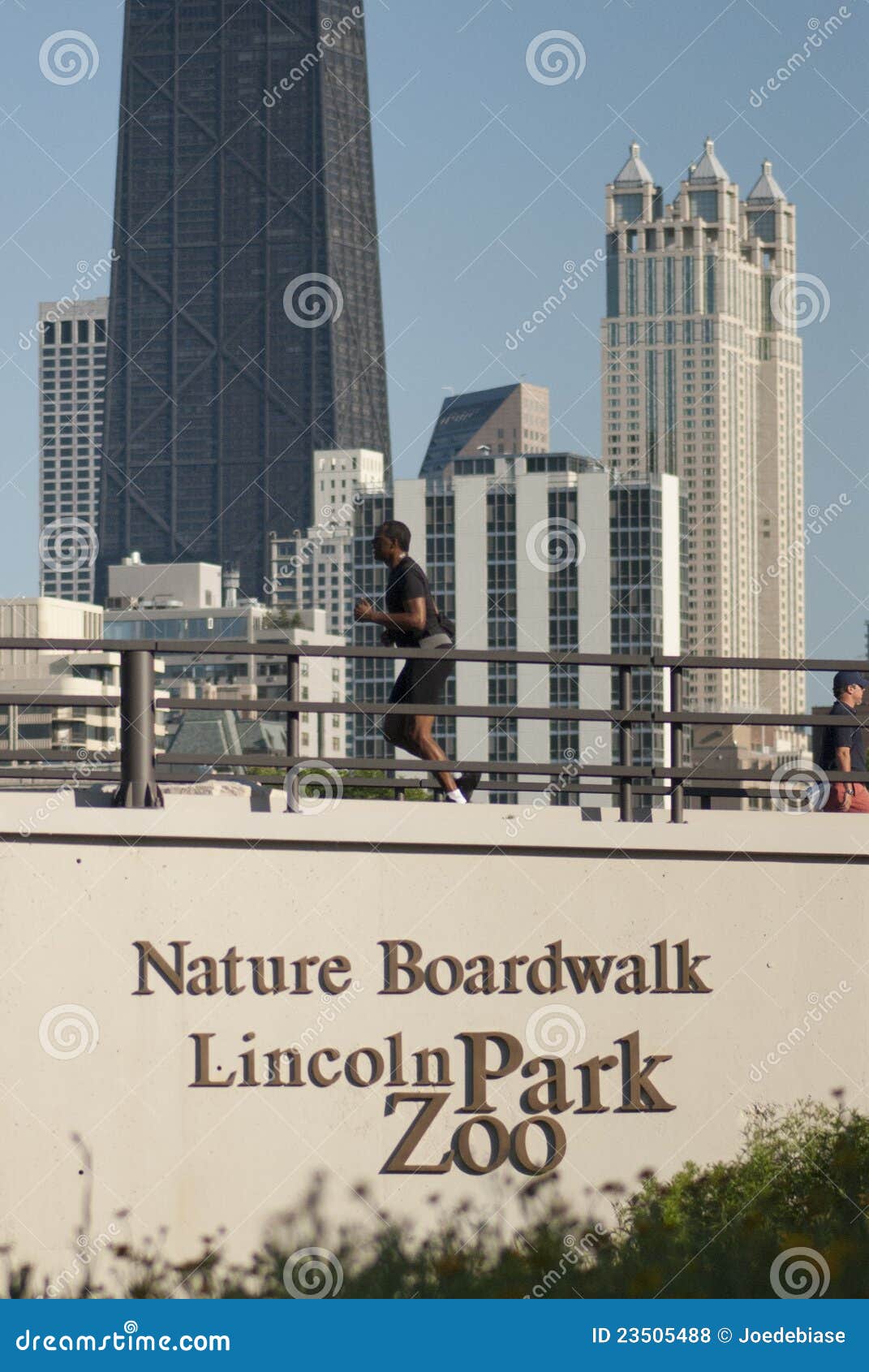 Nature Boardwalk editorial stock photo. Image of bridge - 23505488