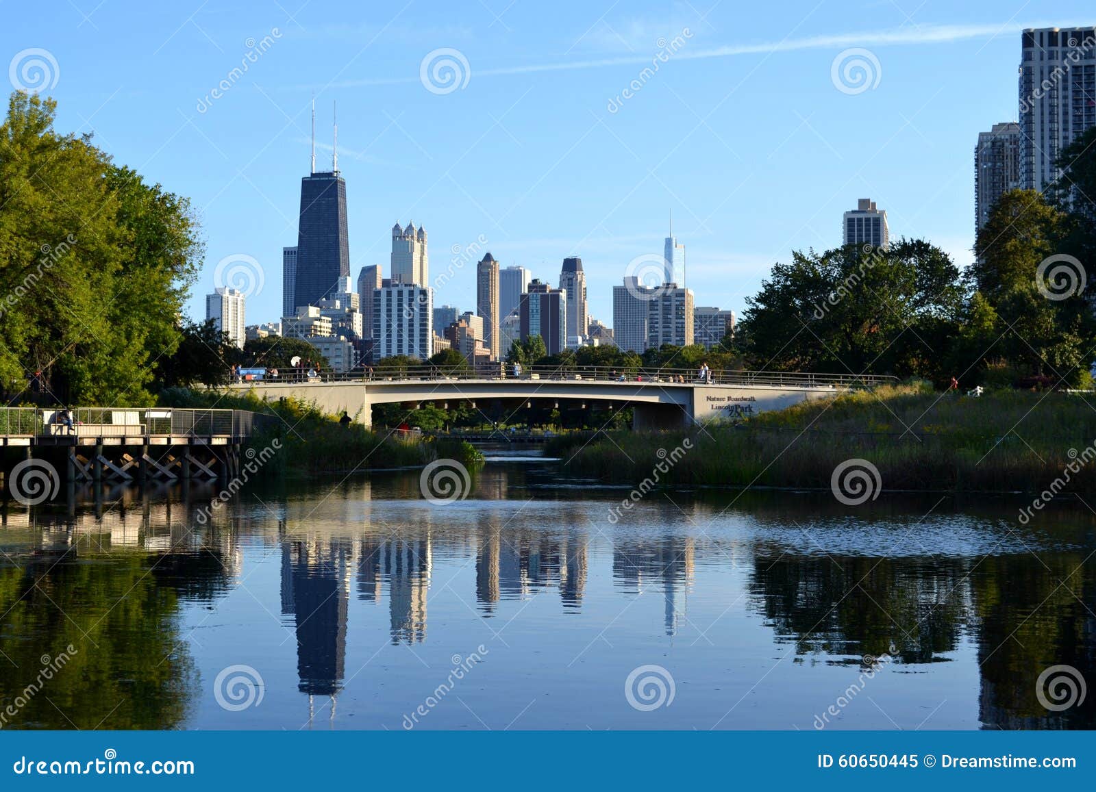 Nature Boardwalk stock image. Image of lake, urban, chicago - 60650445