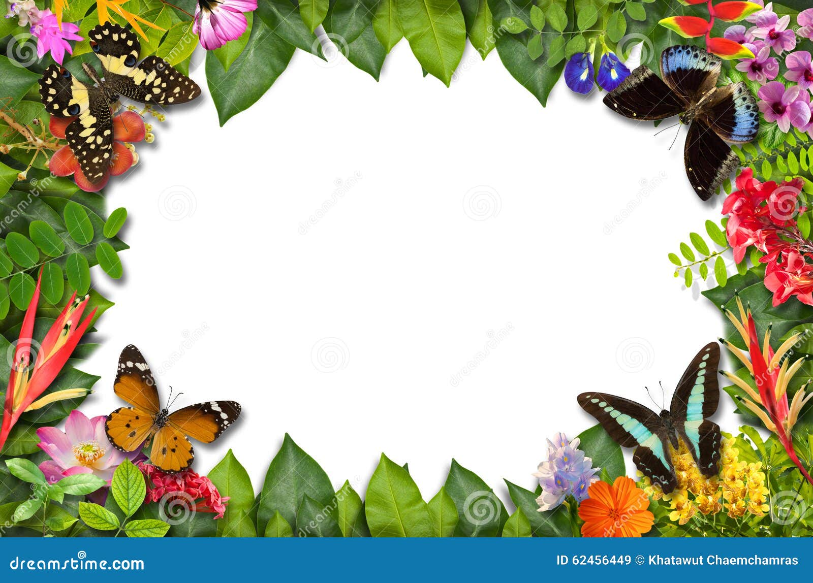 Nature Border Clip Art