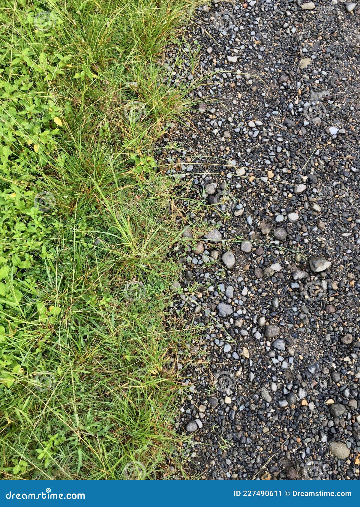 Nature Border stock image. Image of border, nature, wallpaper - 227490611