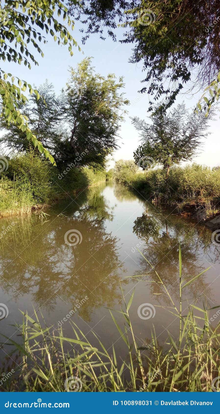 Nature and boundless river stock image. Image of nature - 100898031