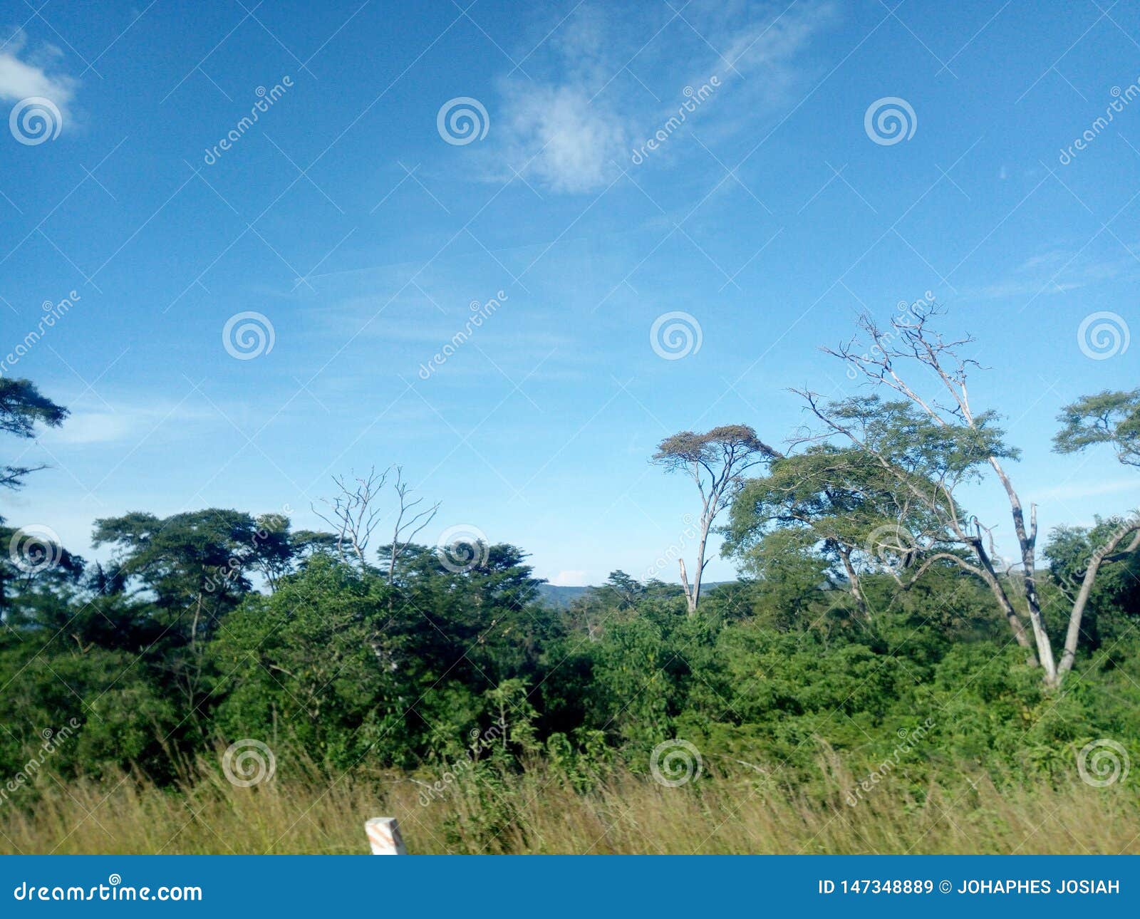 The NATURE is BRIGHT and AMIZING MORE THAN ANYTHING in the WORLD Stock ...