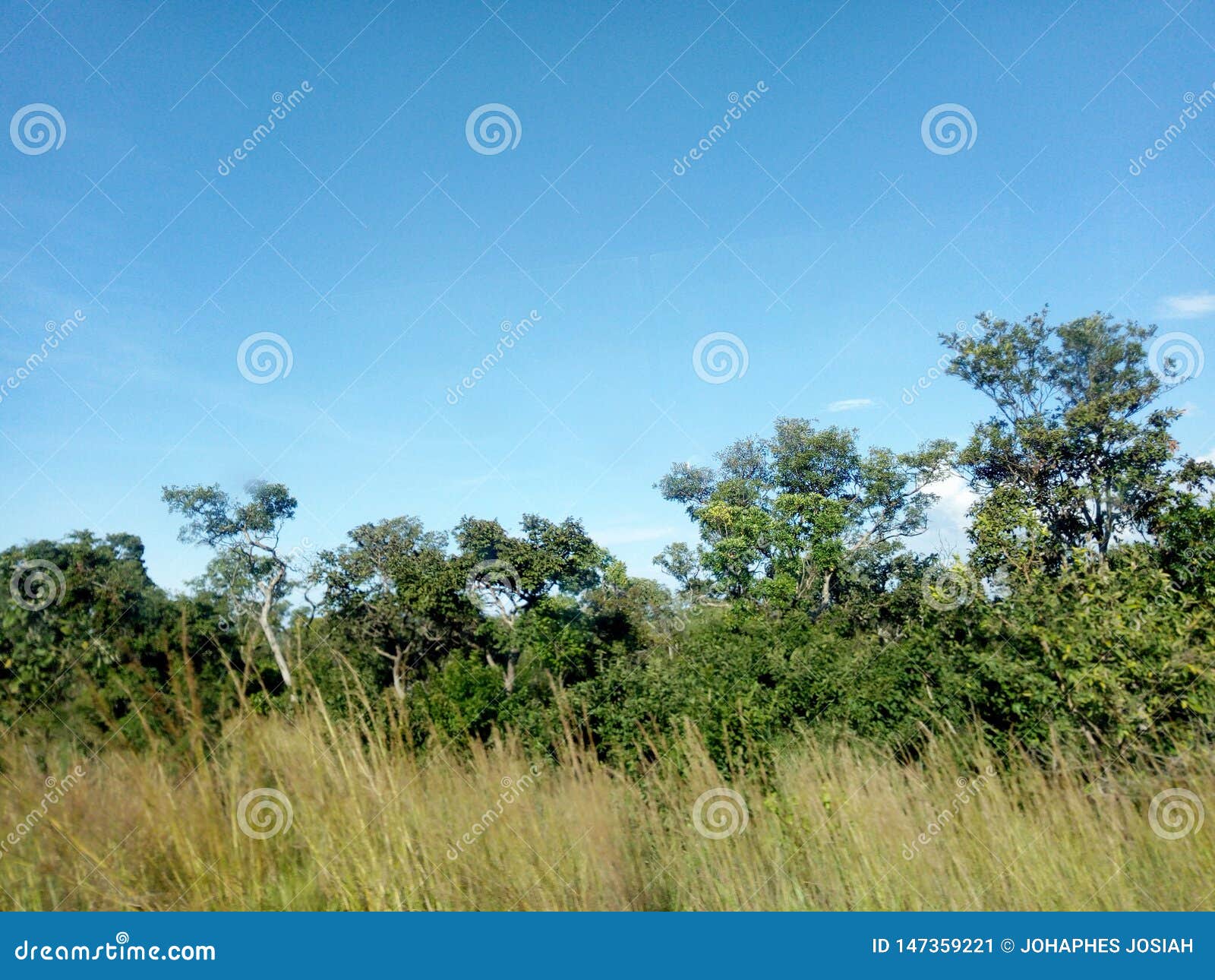 The NATURE is BRIGHT and AMIZING MORE THAN ANYTHING in the WORLD Stock ...