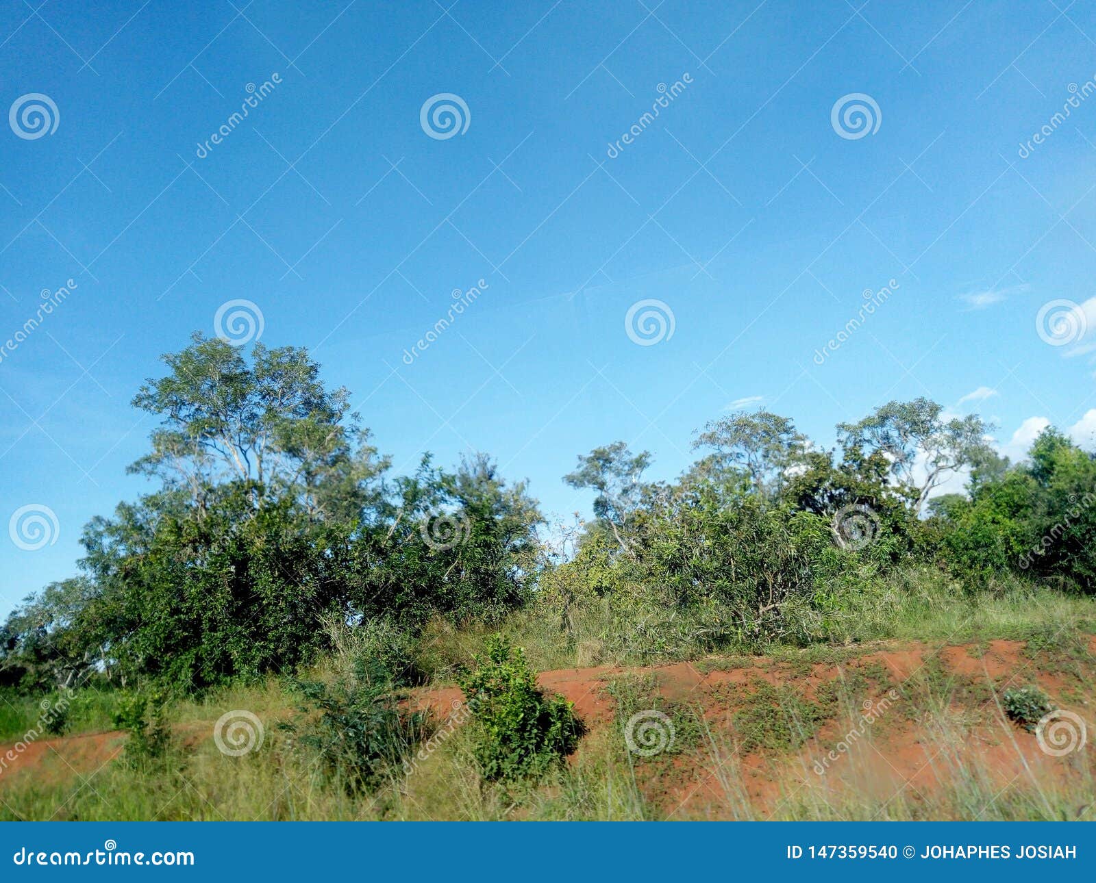 The NATURE is BRIGHT and AMIZING MORE THAN ANYTHING in the WORLD Stock ...