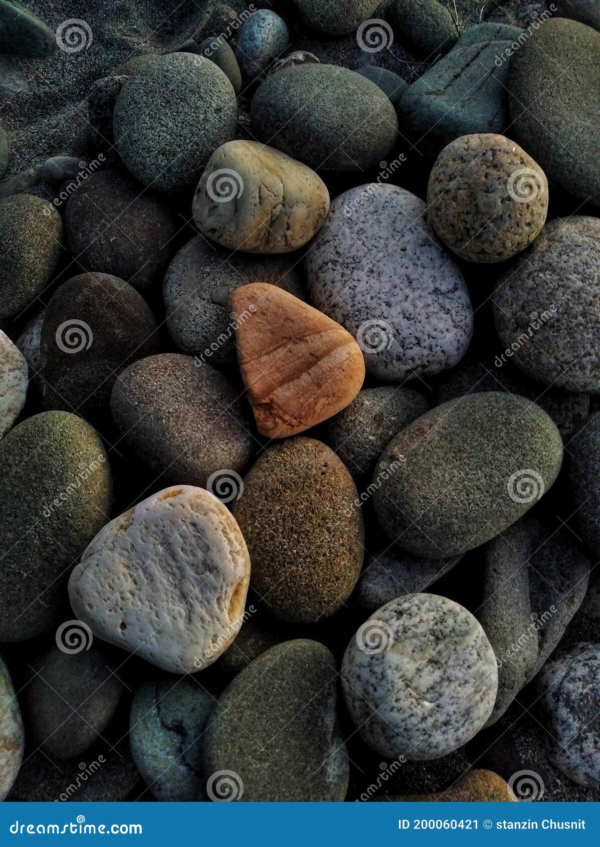 Nature is Brilliant it Creates Beautiful Shapes and Colours Stock Image ...