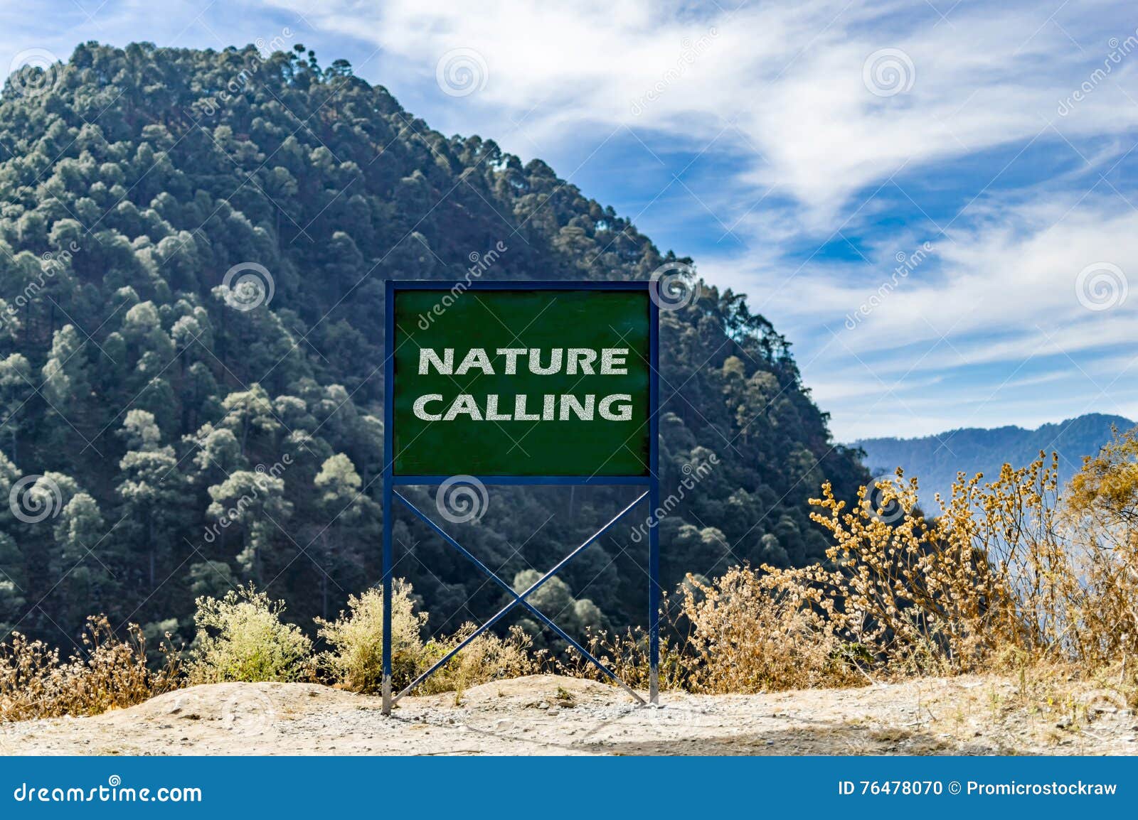 Nature calling stock photo. Image of green, board, landscape - 76478070