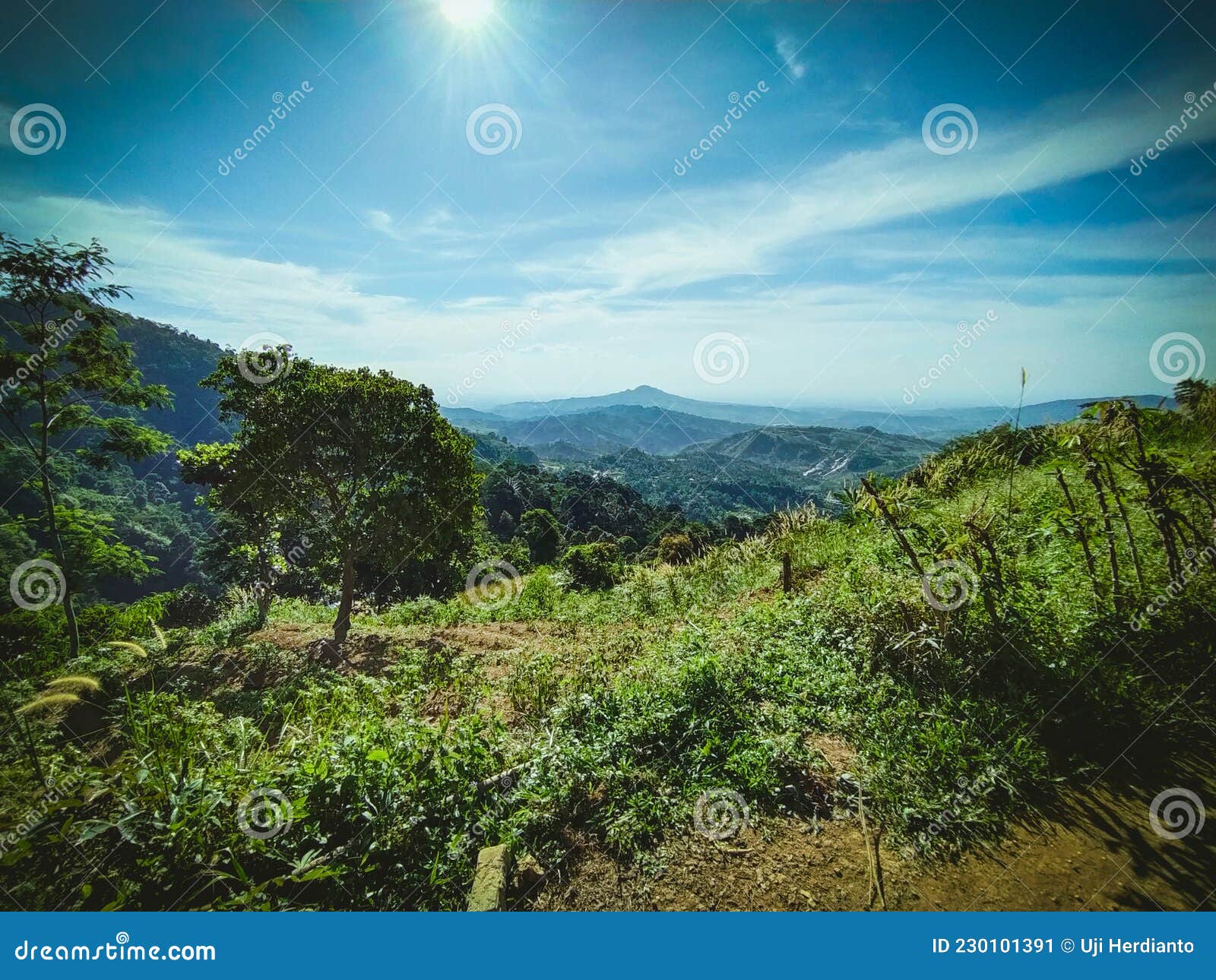 Nature Can Relieve Your Tiredness Stock Image - Image of grass, flower ...