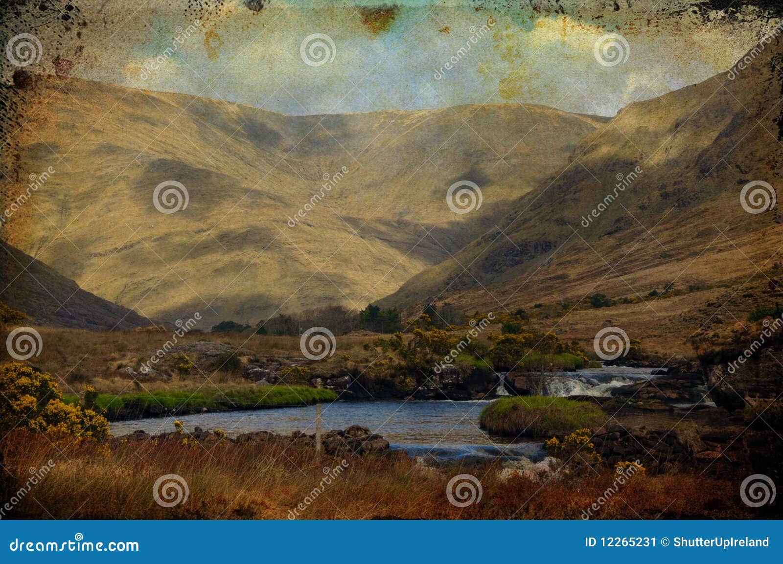 Nature Capture in the West of Ireland Stock Image - Image of colorful ...