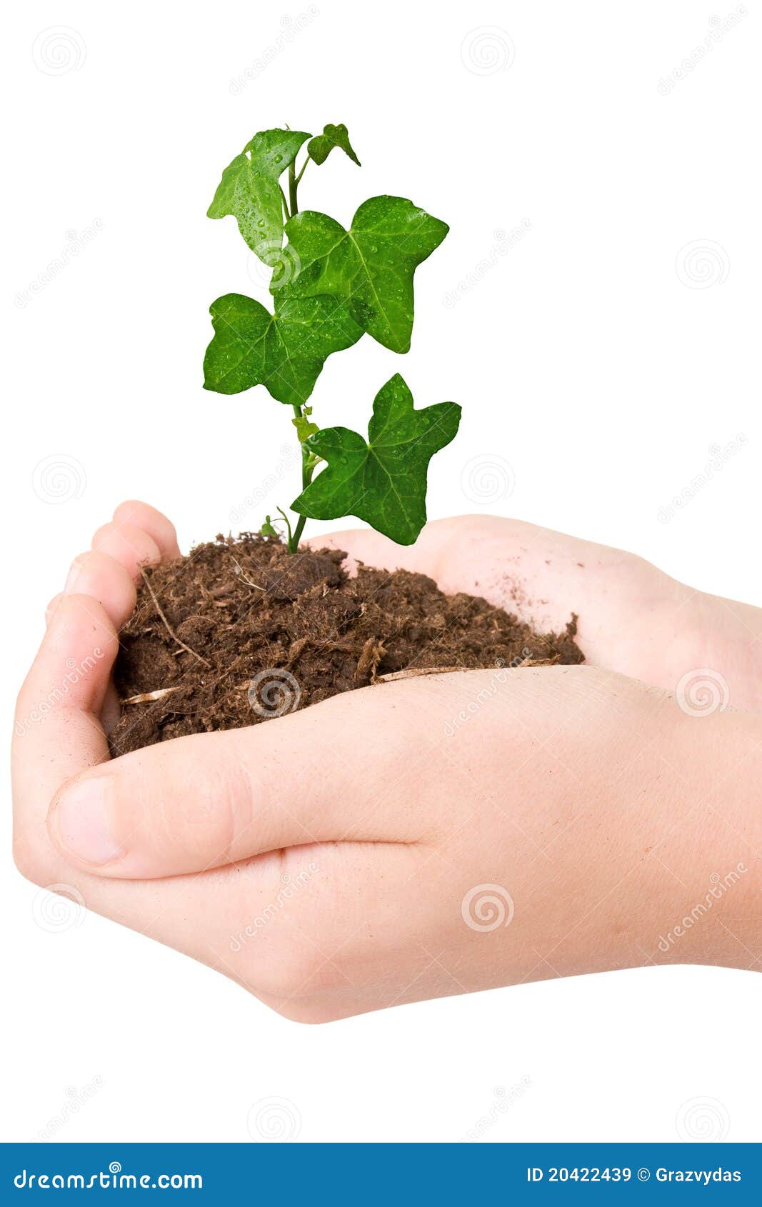 Nature care stock image. Image of nature, conservation - 20422439