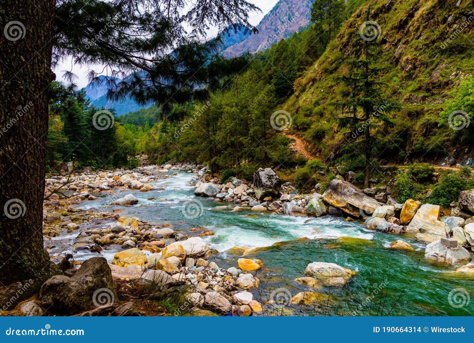 Nature of the Chalal Trek Trail, Sosan, India Stock Photo - Image of ...