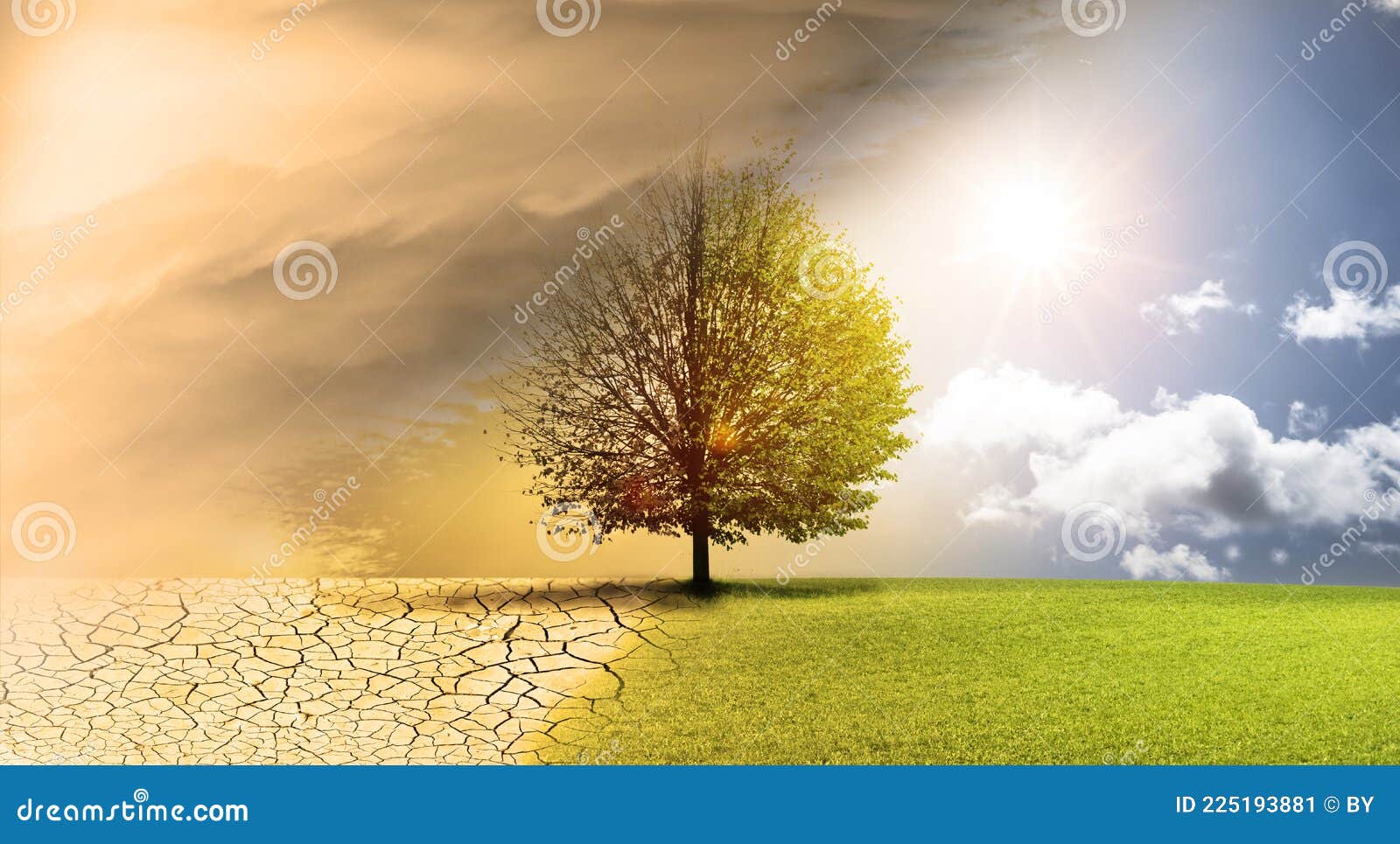 Nature in change stock image. Image of cycle, green - 225193881