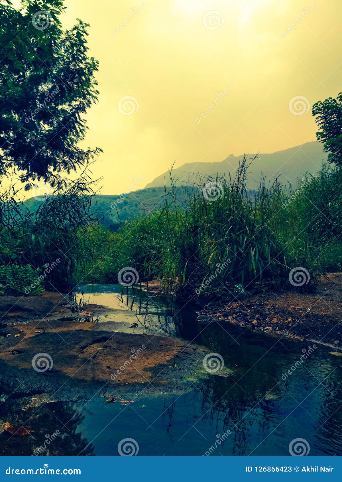 Nature stock image. Image of haze, water, flowing, channel - 126866423