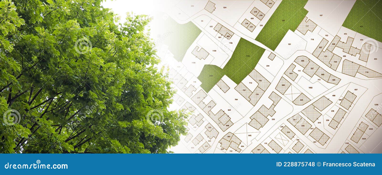 Nature and City - Concept with Lone Tree and Imaginary City Map Stock ...