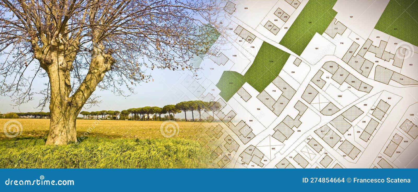 Nature and City - Concept with Lone Tree and Imaginary City Map Stock ...