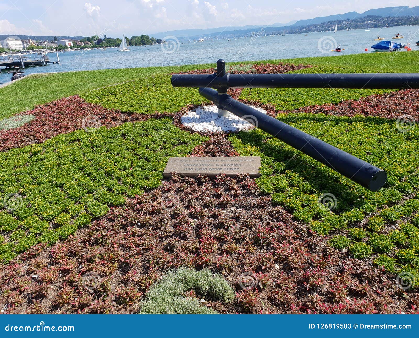 Nature Clock stock image. Image of natural, plant, nature - 126819503