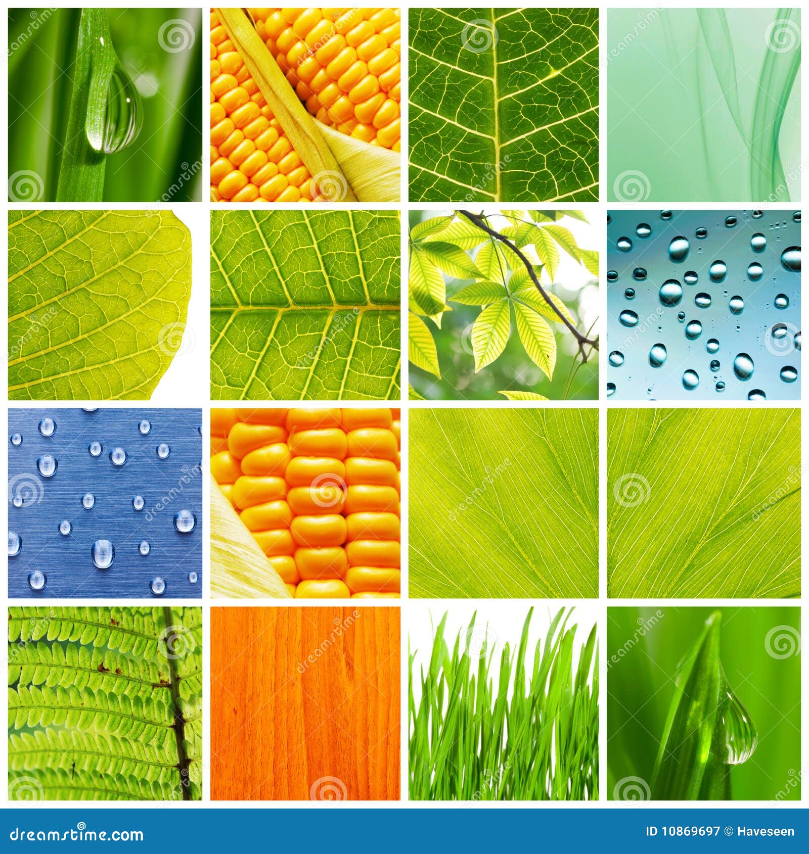 Nature collage stock image. Image of crop, close, life - 10869697