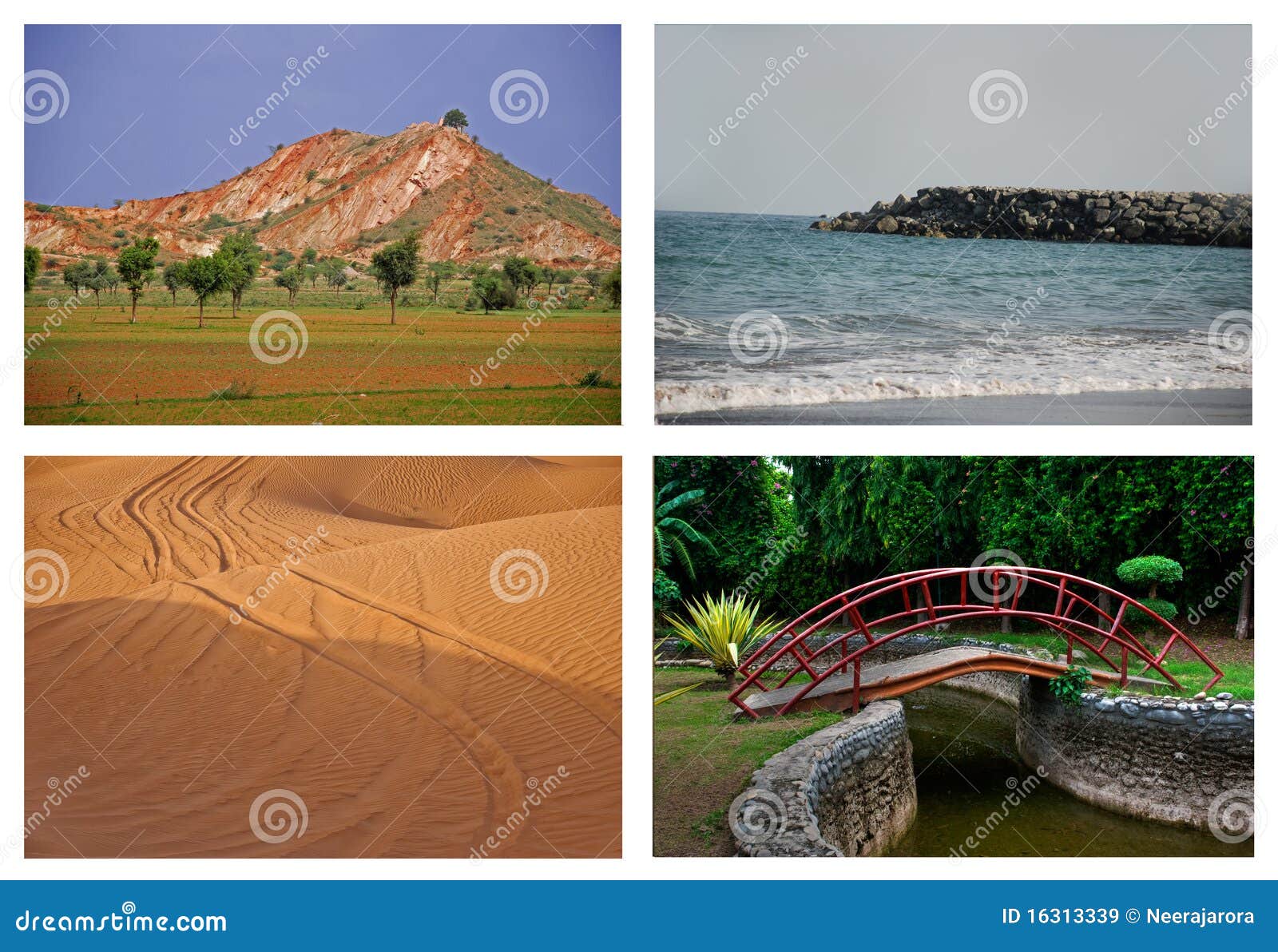 Nature collage stock image. Image of landscape, marks - 16313339