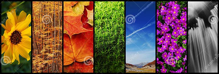 Nature collage stock image. Image of pattern, flora, background - 17328689