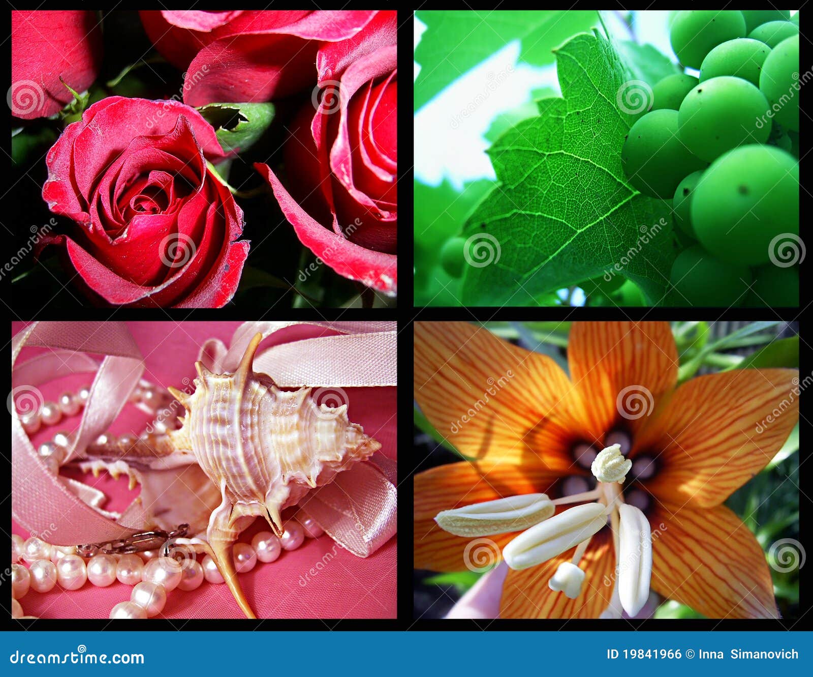 Nature Collection stock photo. Image of pink, leaf, spring - 19841966
