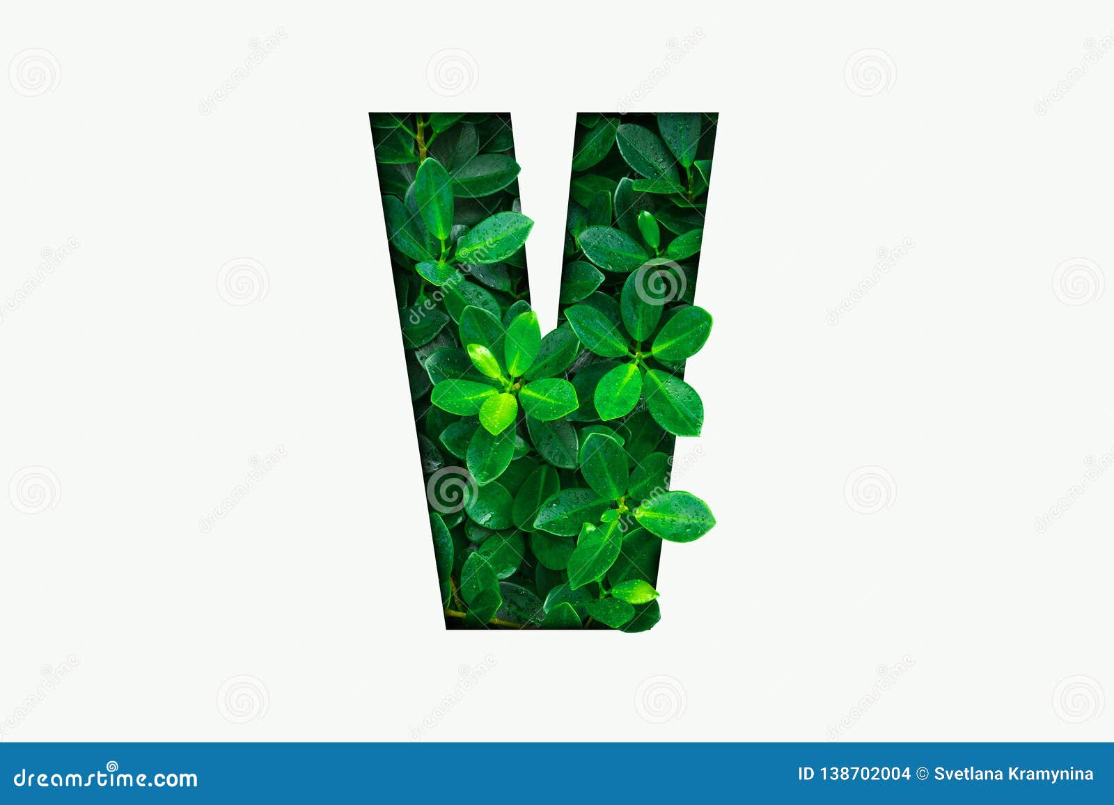 Nature Concept Alphabet of Green Leaves in Alphabet Letter V Stock ...