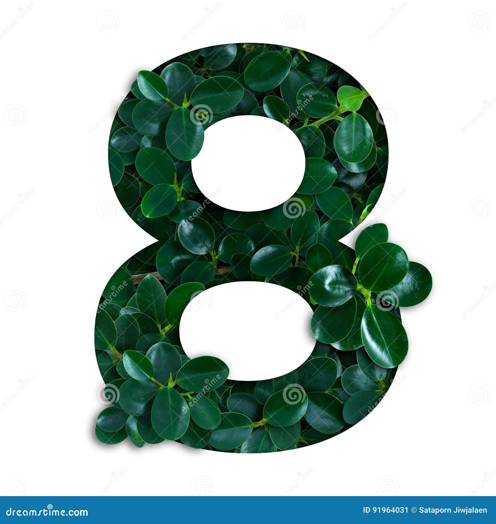 Nature Concept Alphabet of Green Leaves in Number Eight Stock Image ...