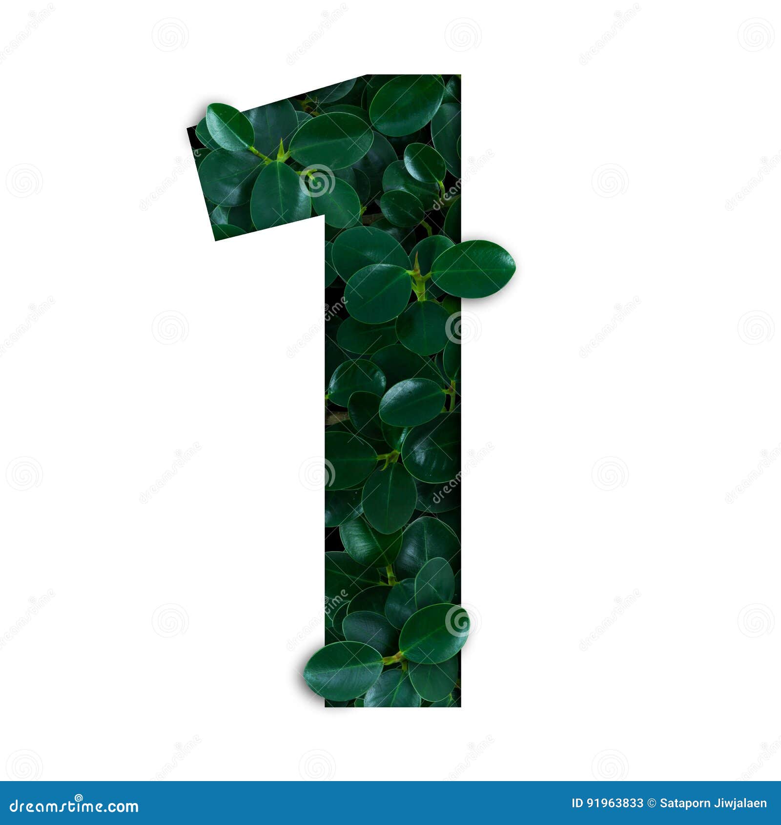 Nature Concept Alphabet of Green Leaves in Number One Stock Image ...
