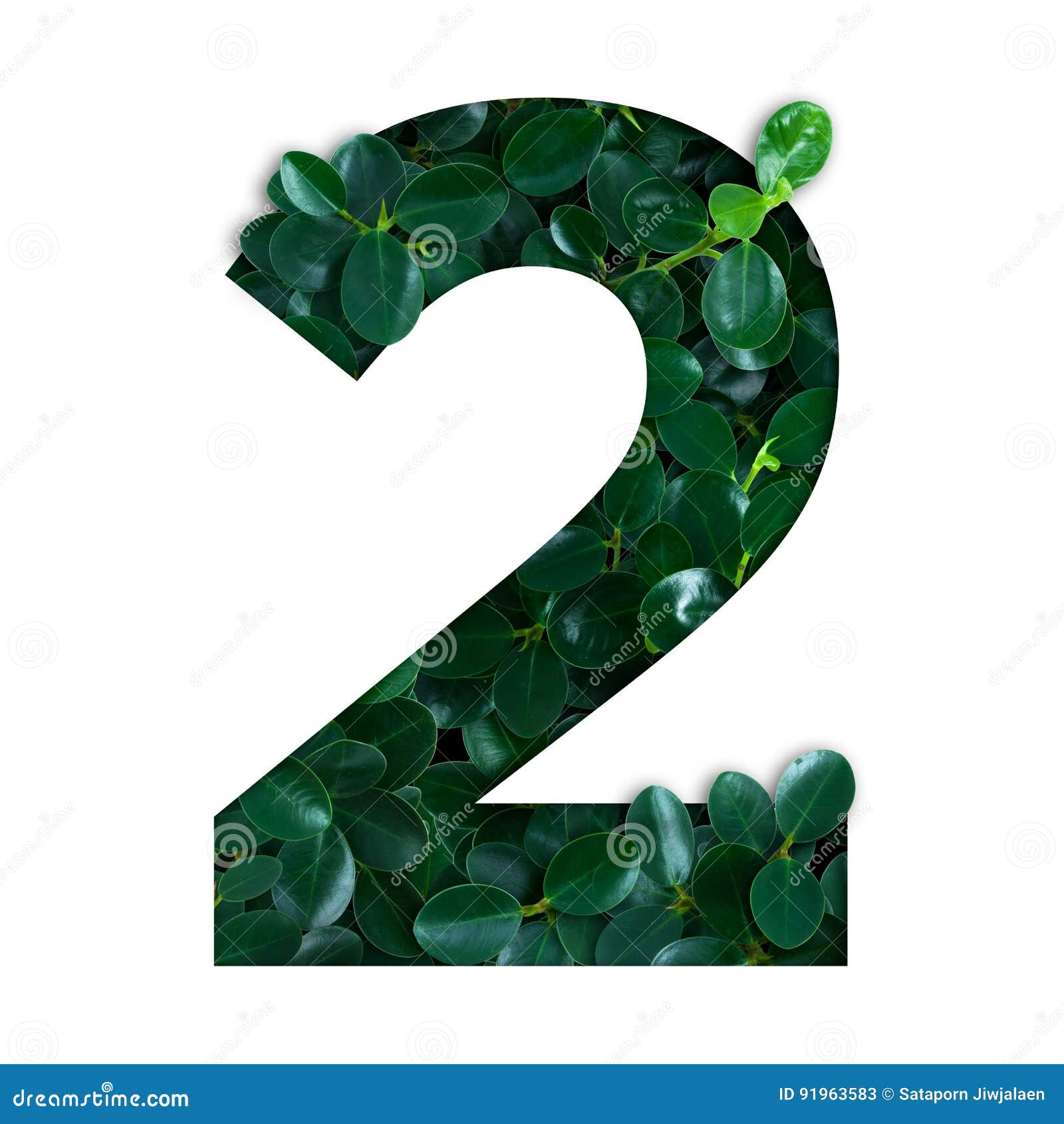 Nature Concept Alphabet of Green Leaves in Number Two Stock Image ...