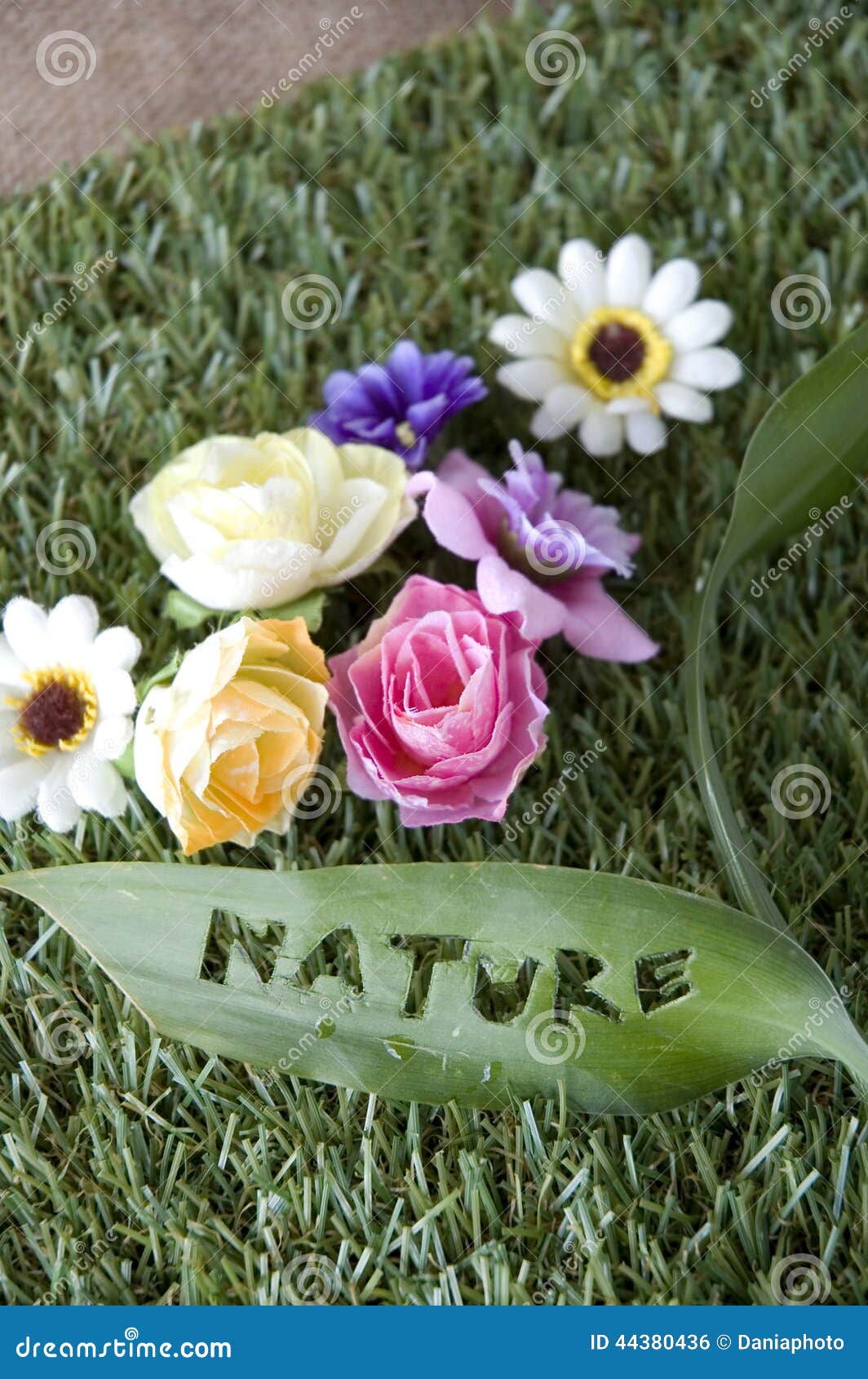 Nature concept background stock photo. Image of flora - 44380436