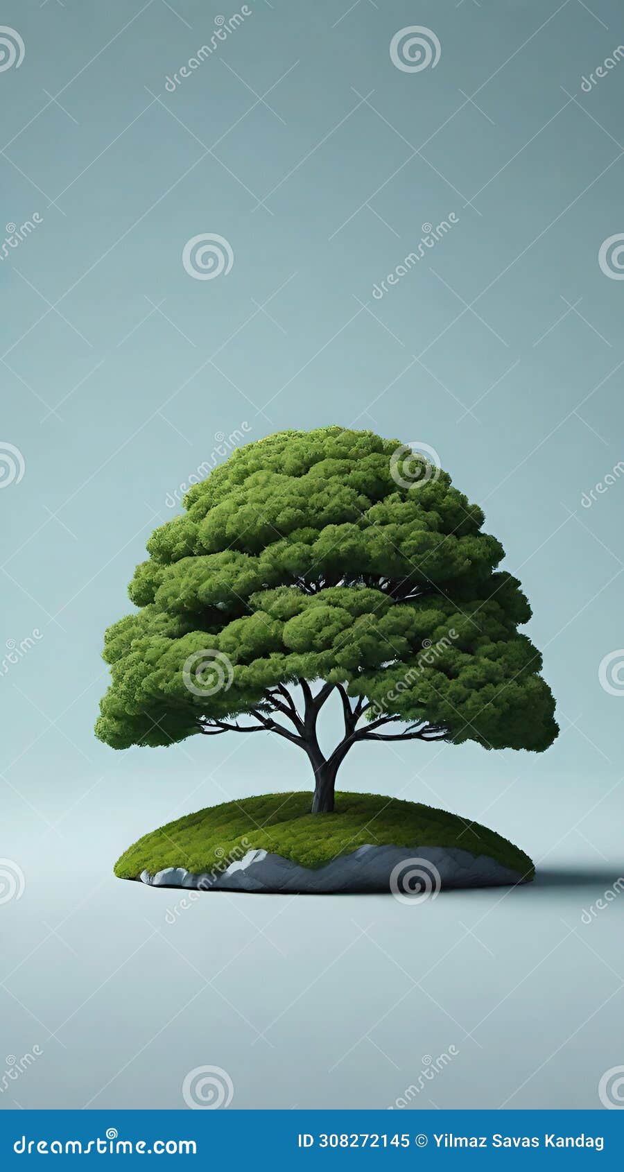 Nature Concept.Tree in the Ground As a Symbol of Nature Stock ...