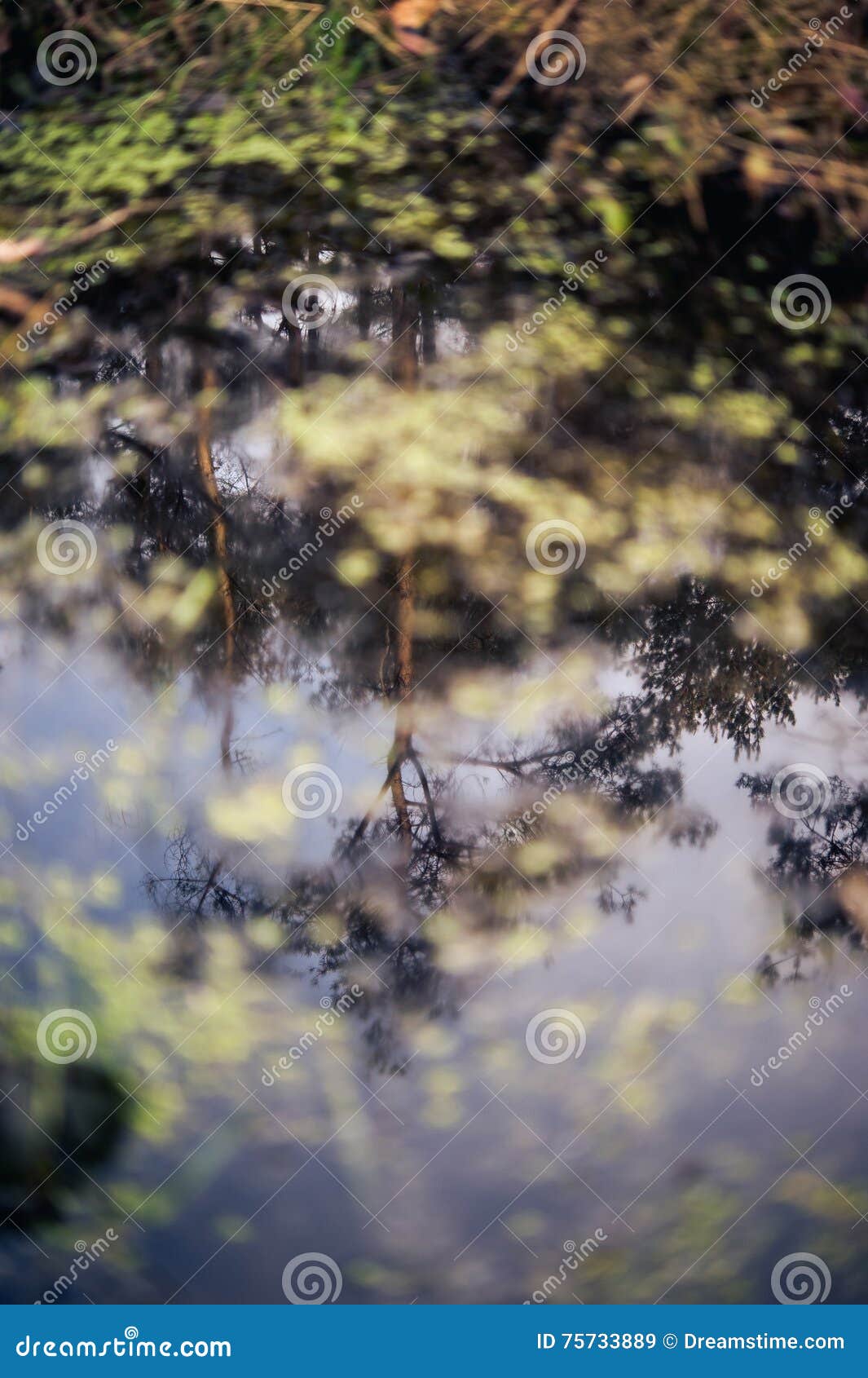 Nature stock image. Image of phenomenon, landscape, nature - 75733889