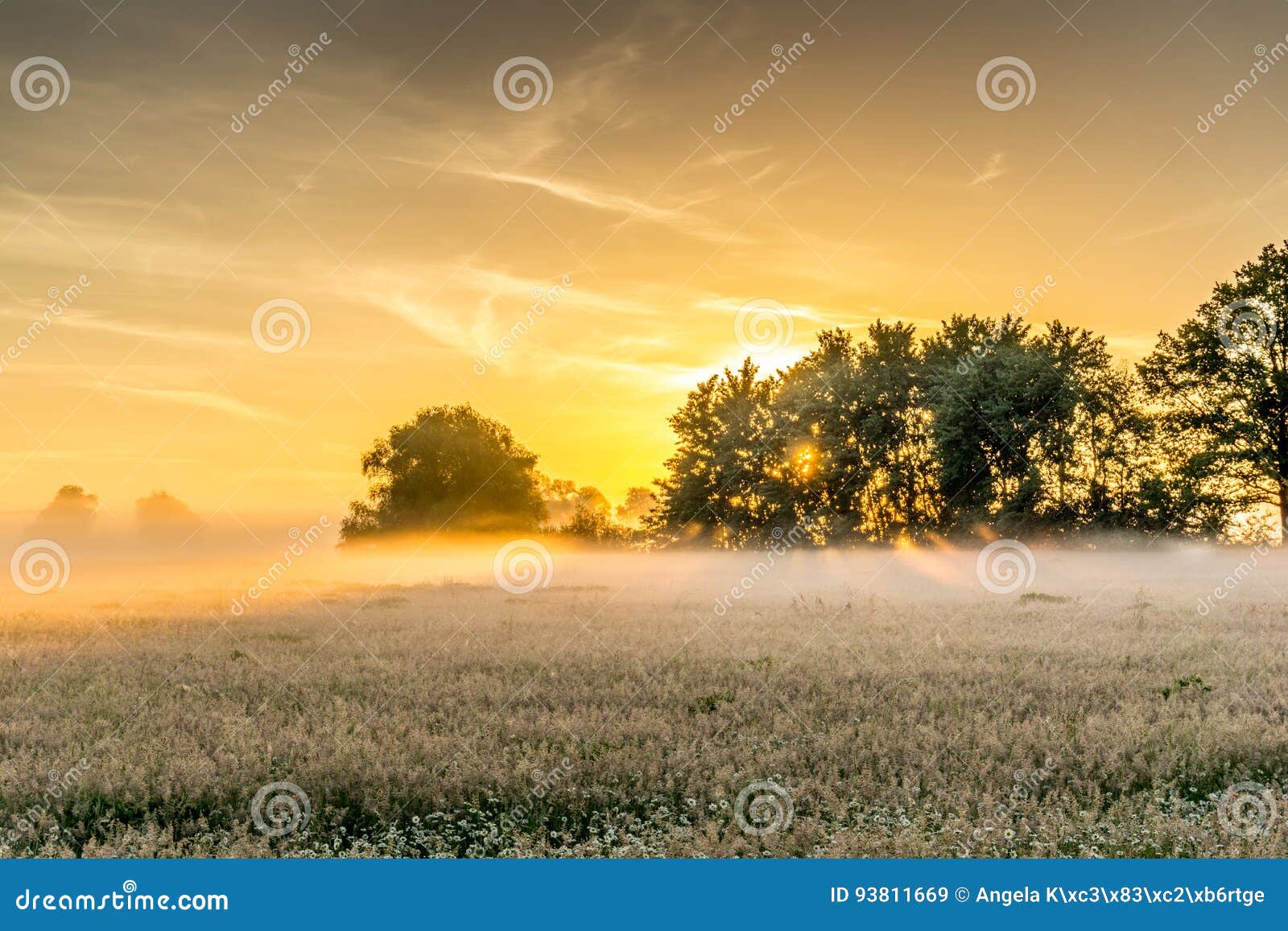 45,174 Nature Conservation Area Stock Photos - Free & Royalty-Free ...