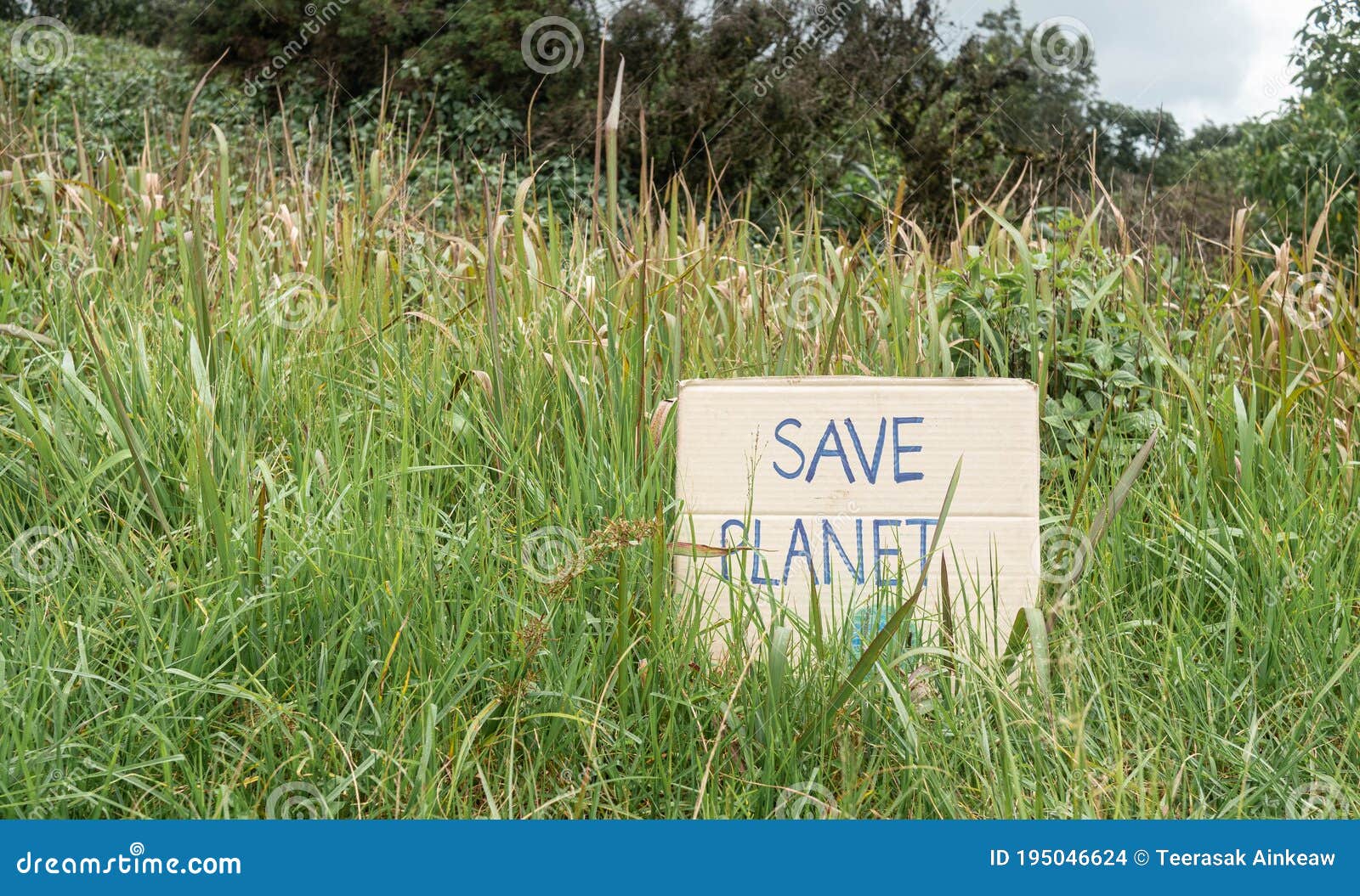 The Nature Conservation Sign On Nature Background. The Concept Of World ...
