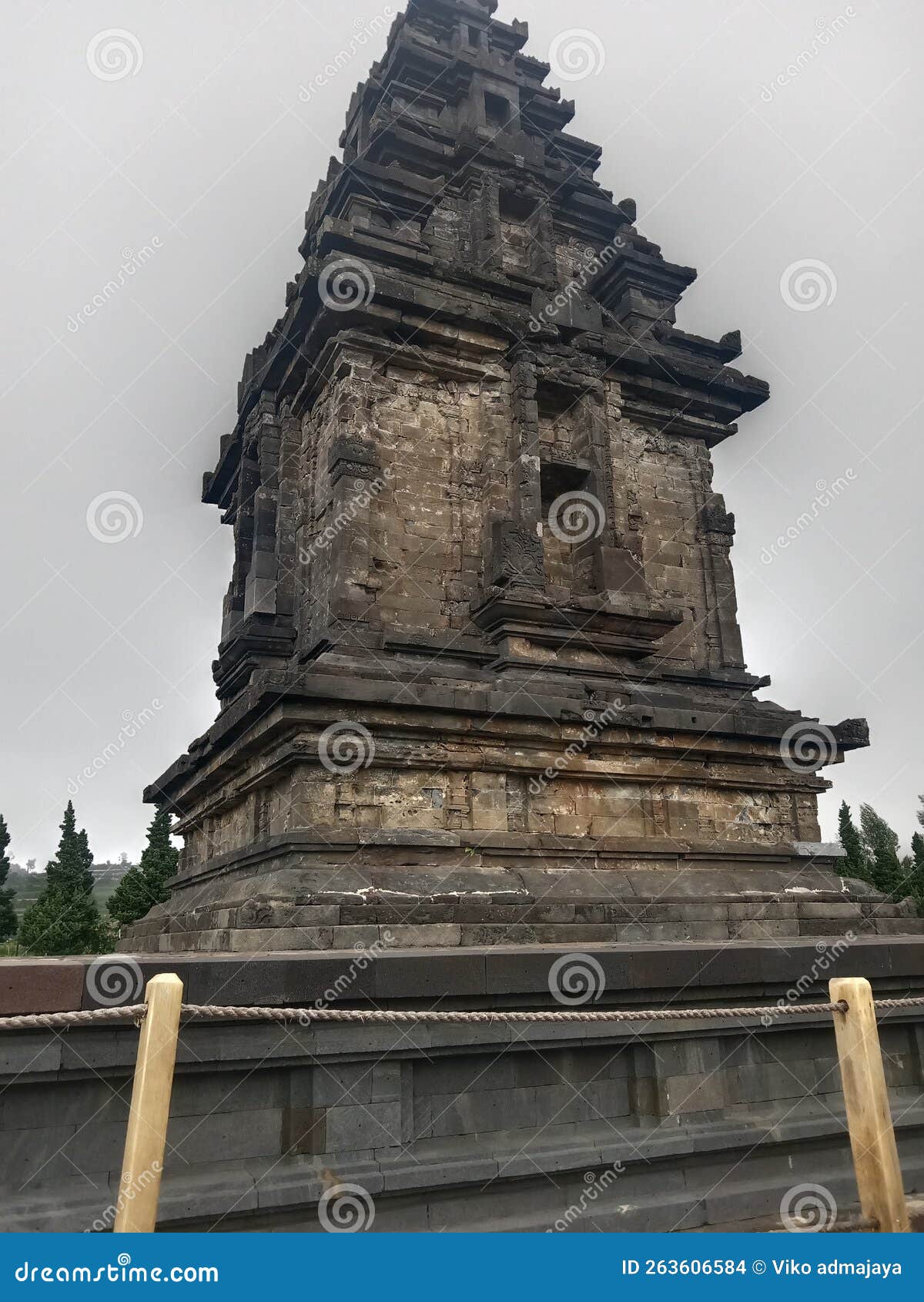 Nature and Cooling Fresh in the Mind this for You All Stock Photo ...