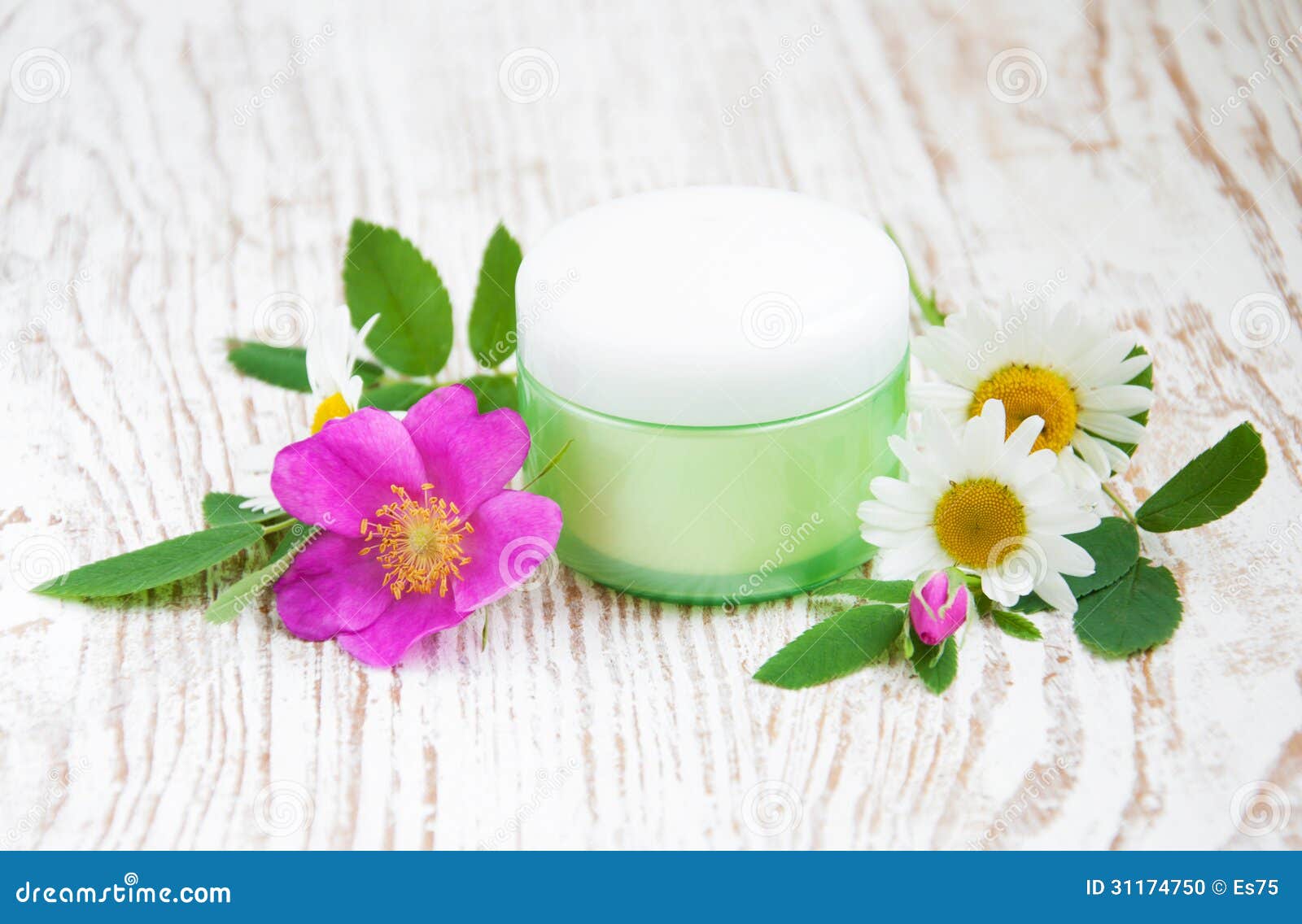 Nature cosmetics stock photo. Image of herb, daisy, beauty - 31174750