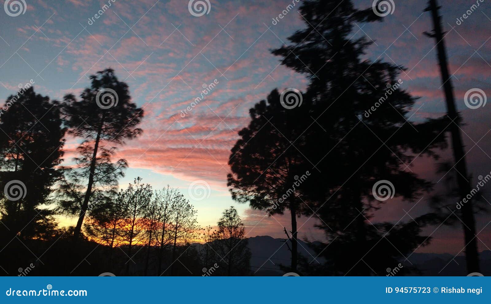 Nature creativity stock image. Image of creativity, showing - 94575723