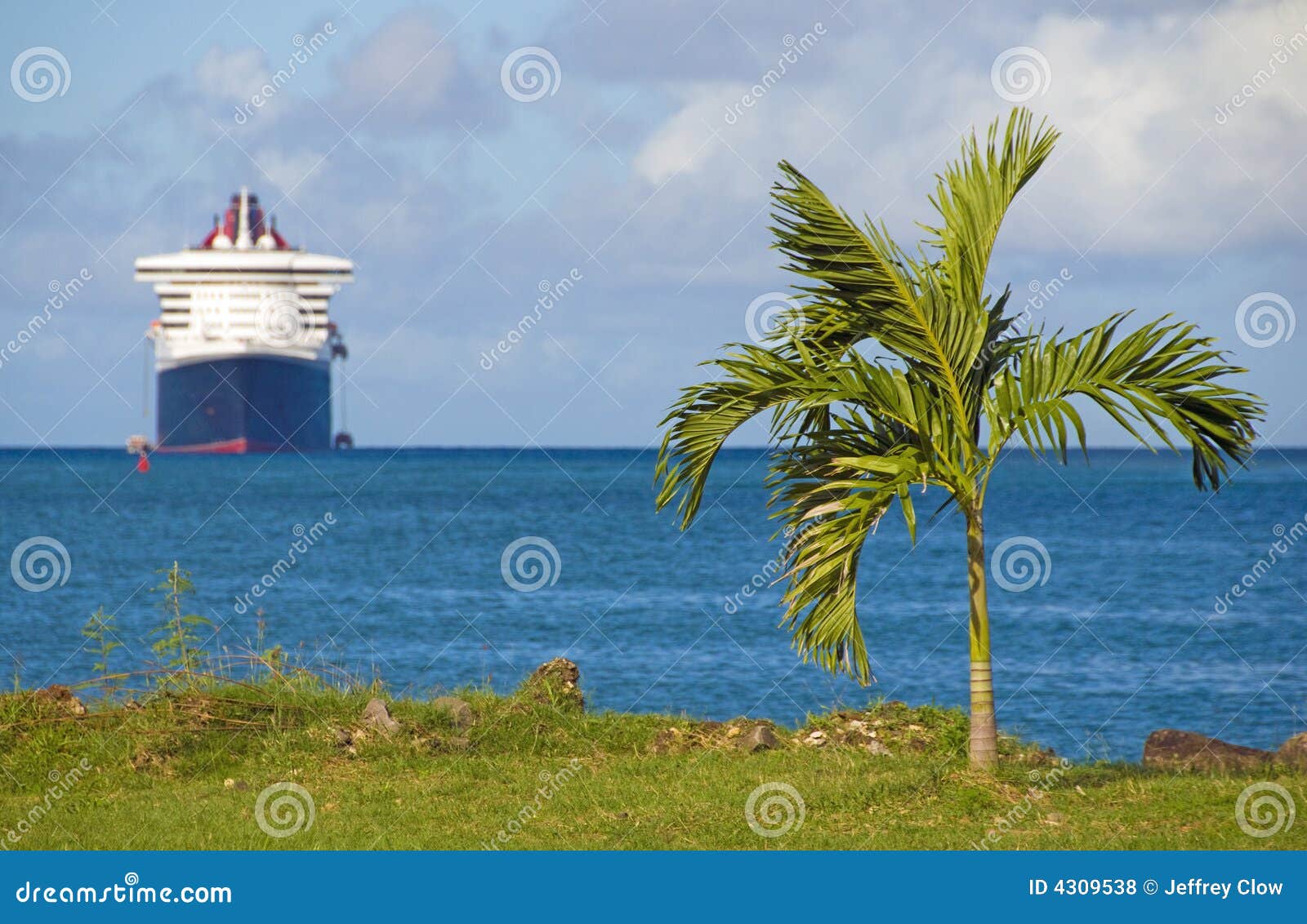 Nature in Danger stock photo. Image of risk, environment - 4309538