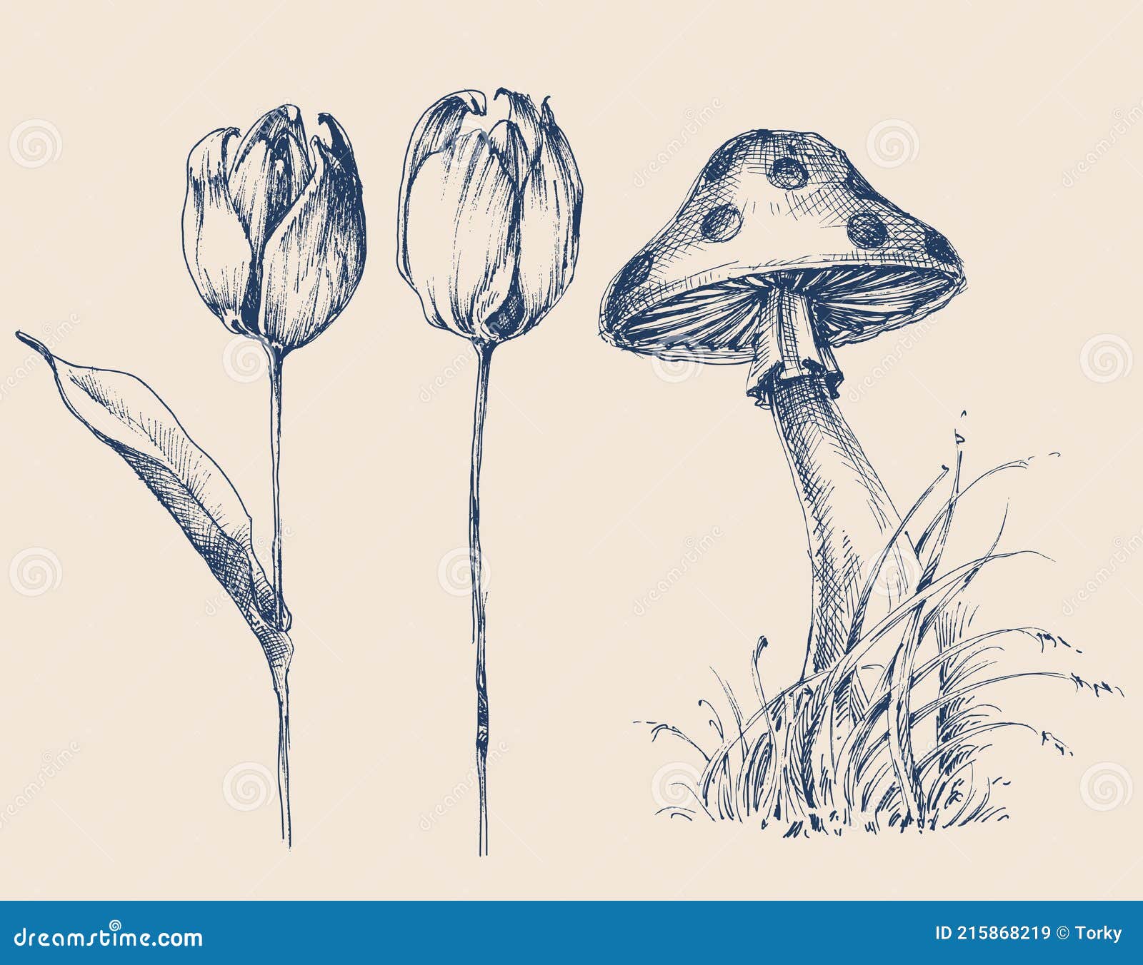 Nature Design Elements, Mushroom and Flowers Set Stock Vector ...