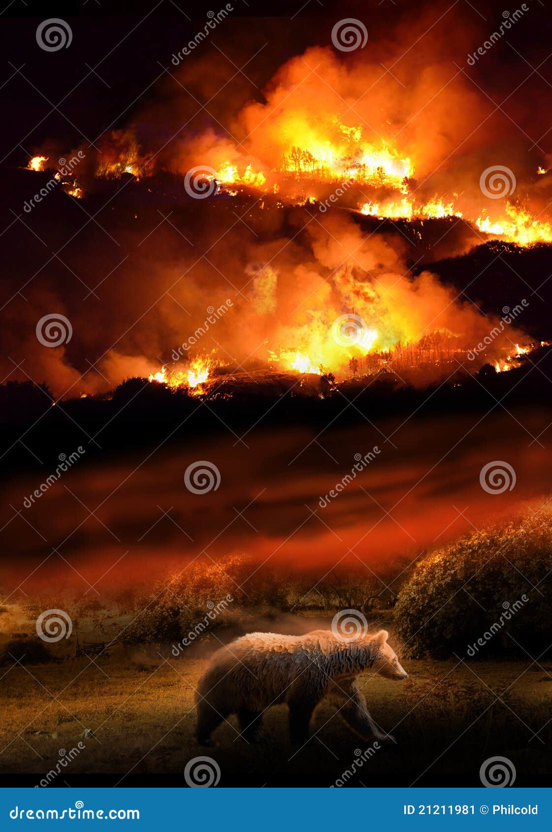 Nature destruction stock image. Image of away, brown - 21211981