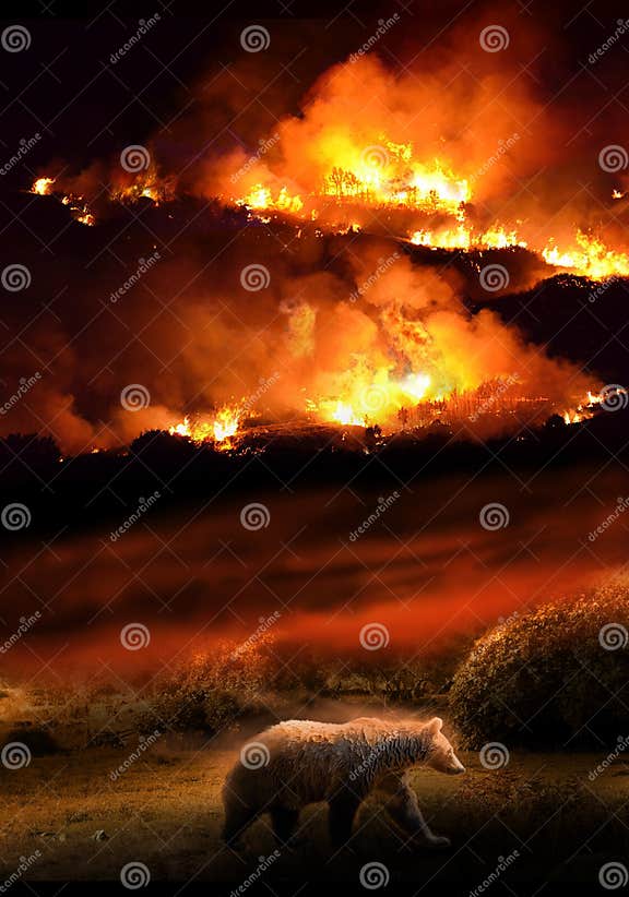 Nature destruction stock image. Image of away, brown - 21211981