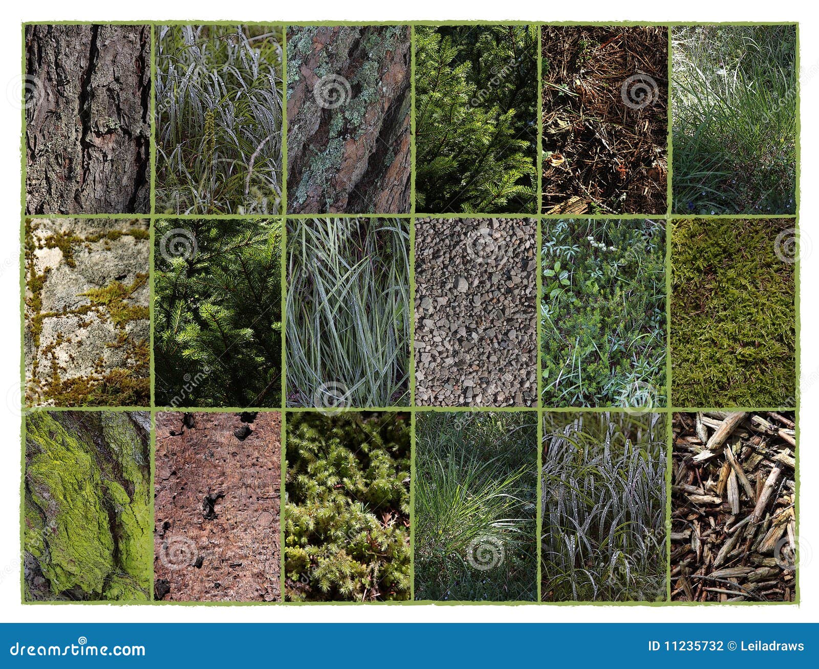 Nature details stock photo. Image of chips, botany, bush - 11235732